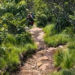 Roan Mountain State Park Campground | Roan Mountain, TN