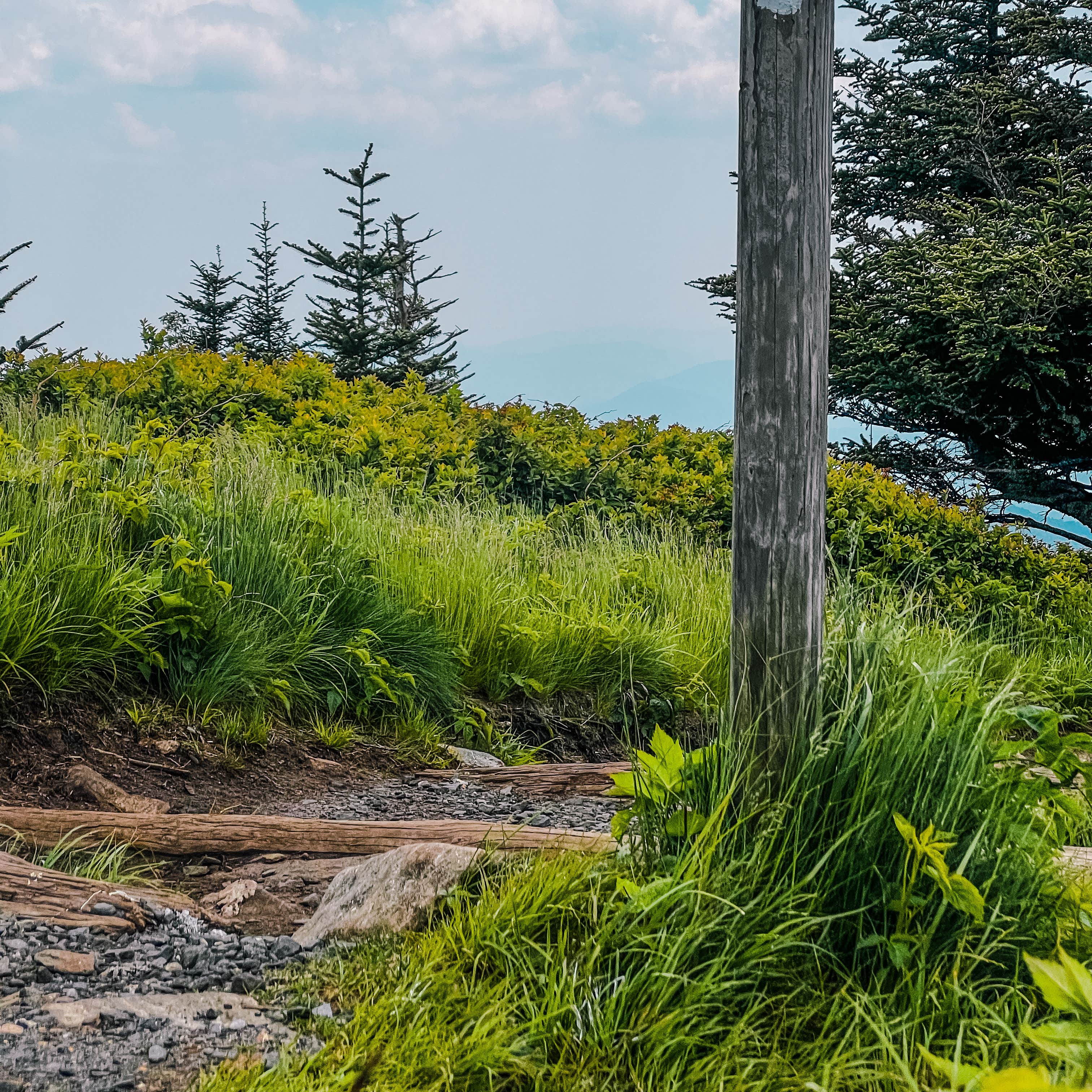 Roan Mountain State Park Campground | Roan Mountain, Tennessee