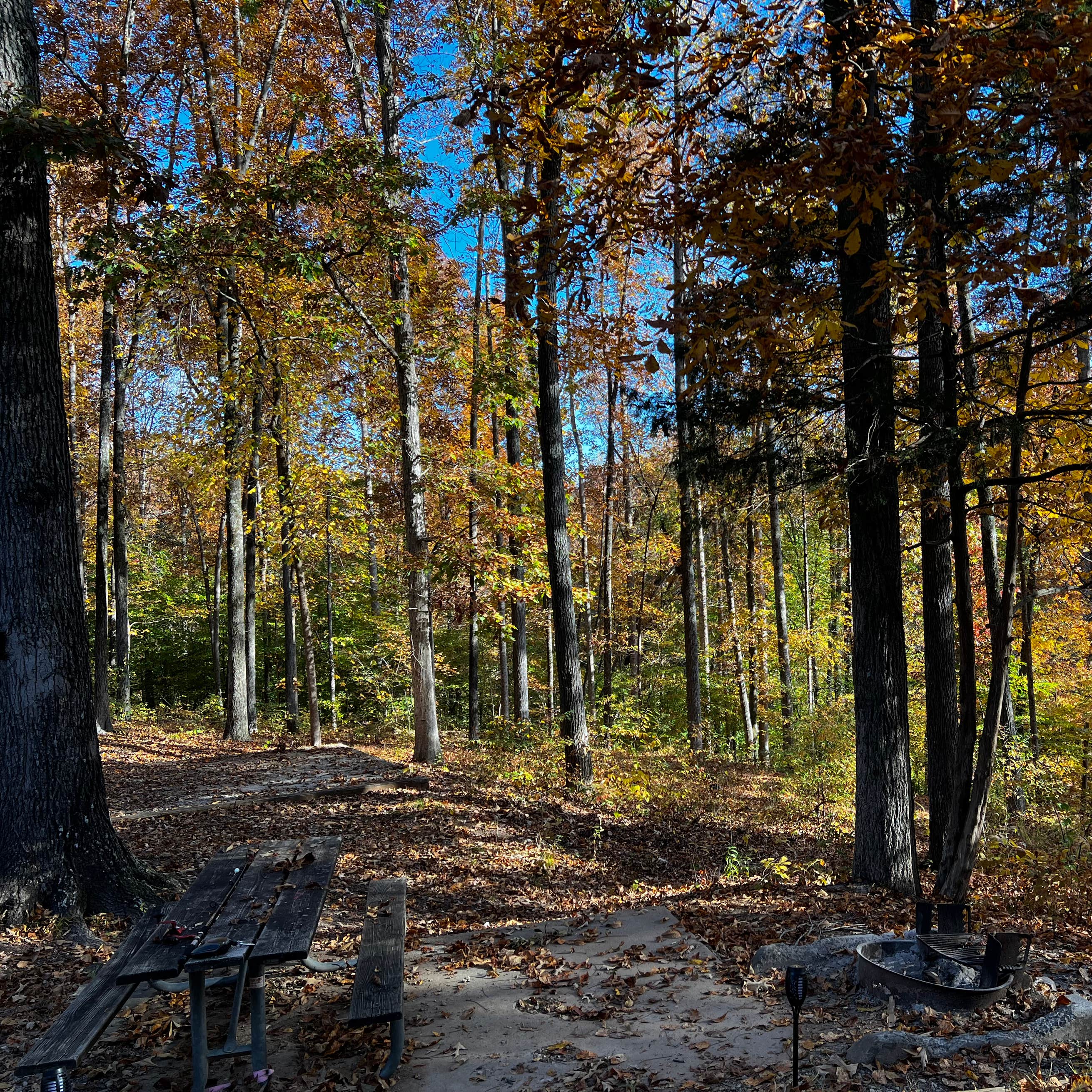 Tims Ford State Park Main Campground — Tims Ford State Park | Belvidere ...