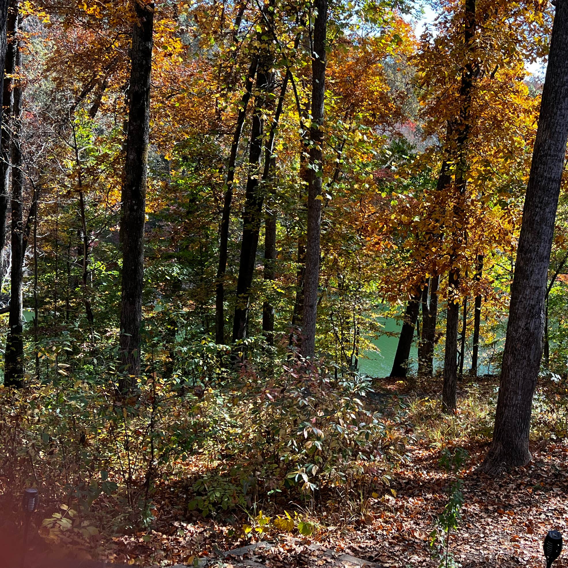 Tims Ford State Park Main Campground — Tims Ford State Park | Belvidere ...