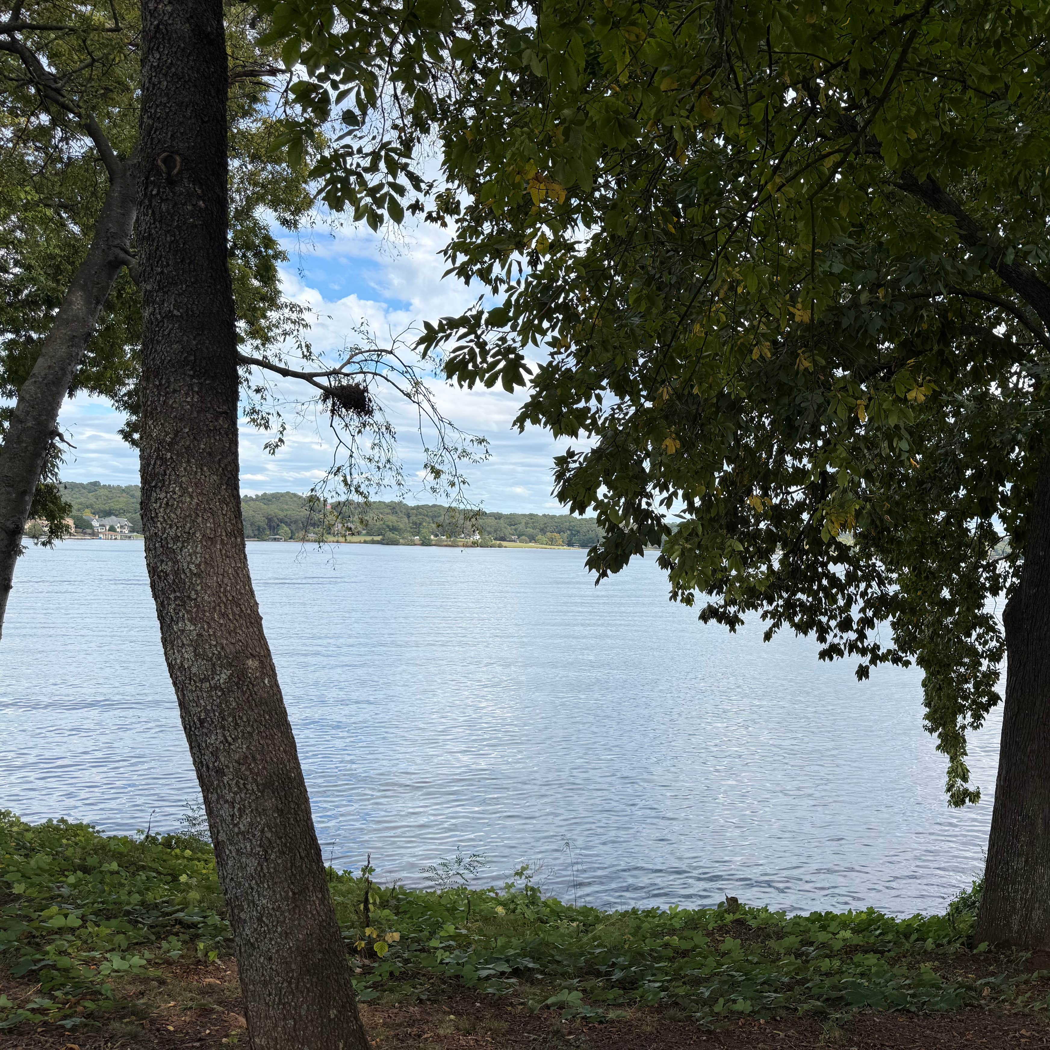 Yarberry Campground | Lenoir City, Tennessee