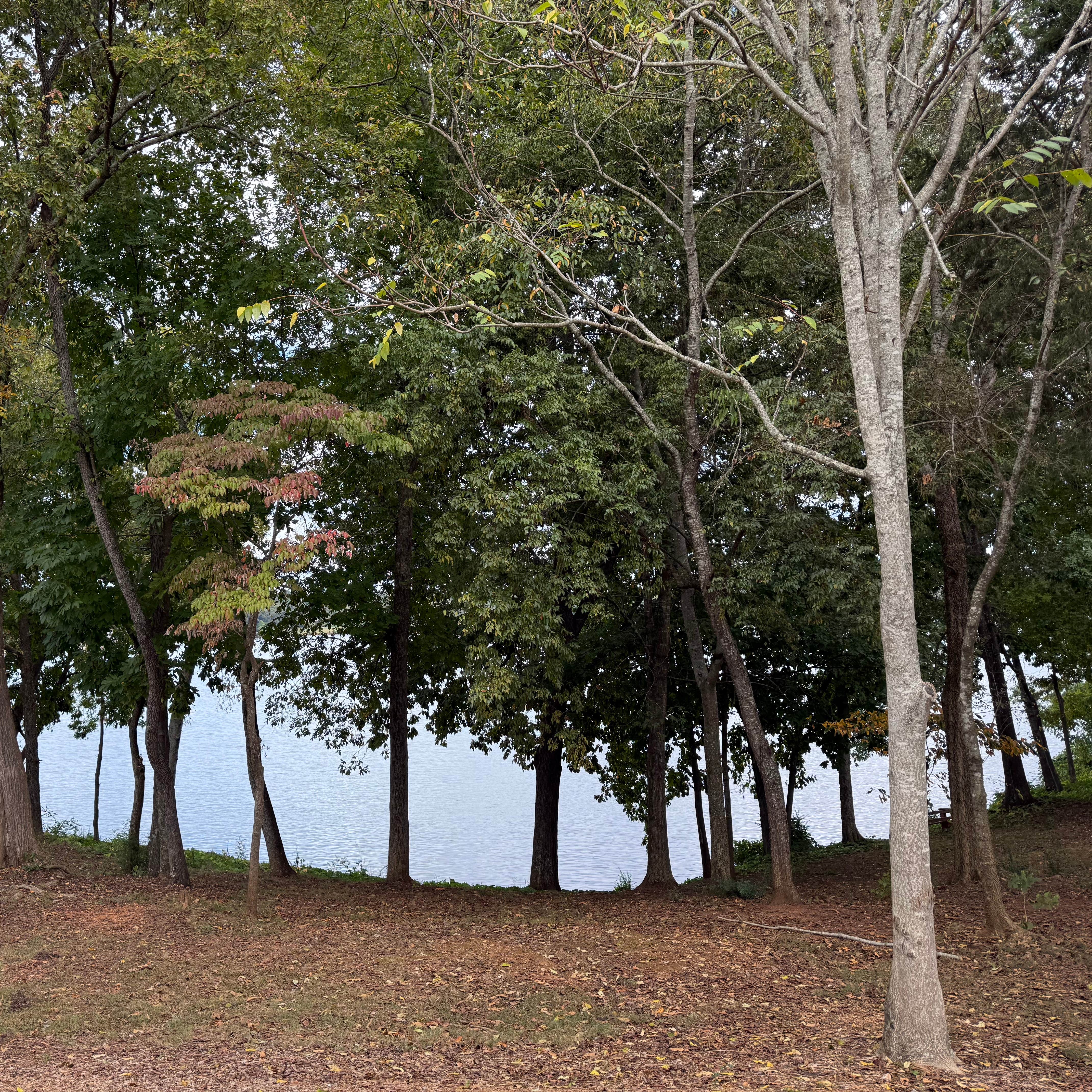 Yarberry Campground | Lenoir City, Tennessee