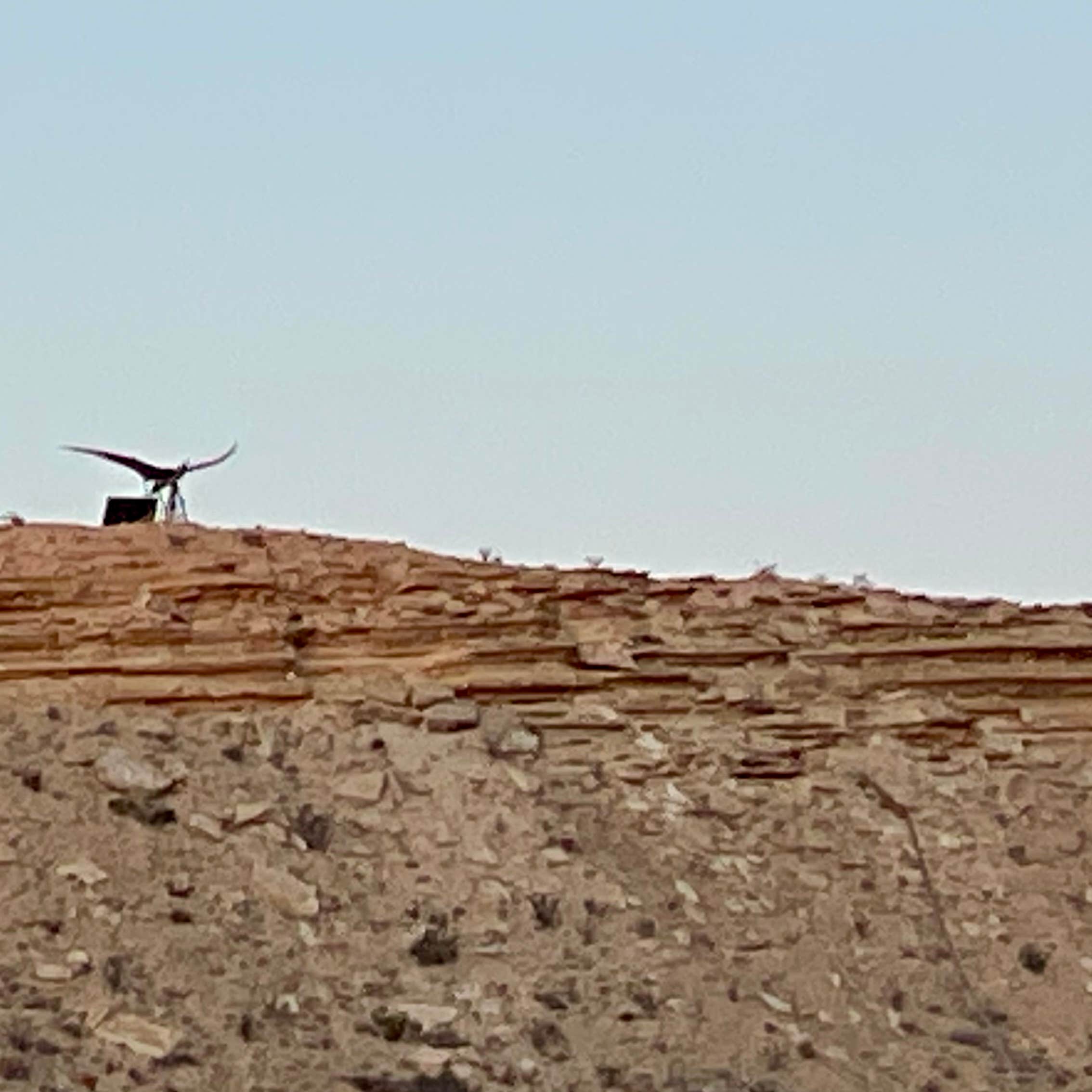 Terlingua Bus Stop Campground | Terlingua, Texas