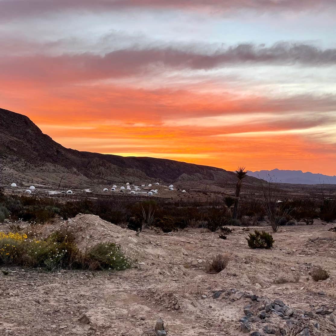 Terlingua Bus Stop Campground | Terlingua, TX