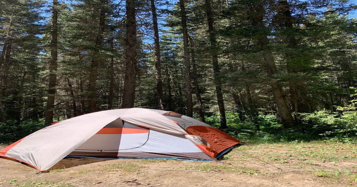 Teton Canyon Road Dispersed Camping | Alta, Wyoming