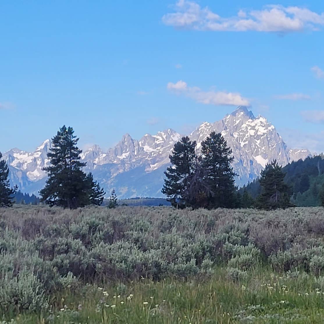 Teton Canyon Road Dispersed Camping | Alta, Wyoming