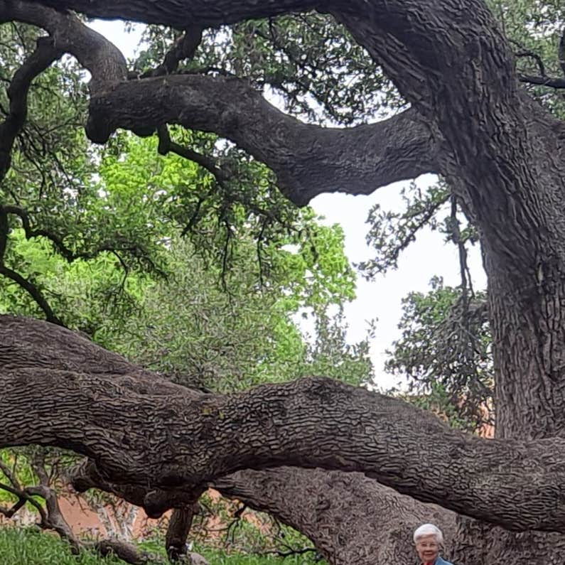 Blanco State Park Campground | Blanco, TX