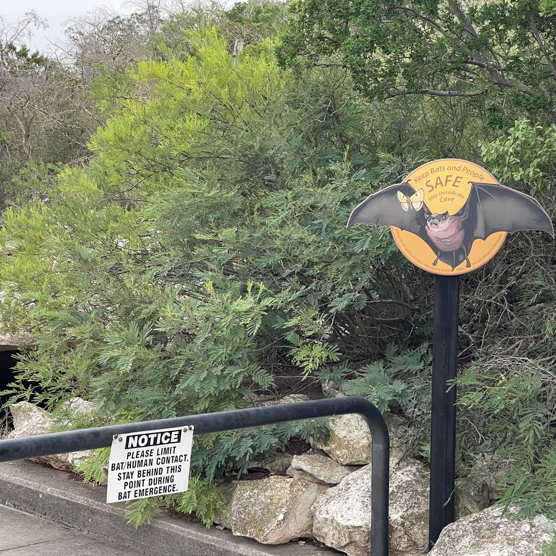 Kickapoo Cavern State Park Campground | Brackettville, Texas