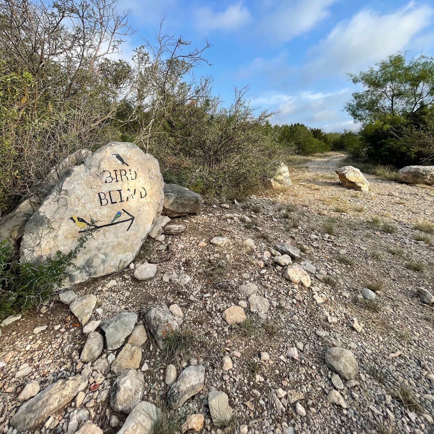 Kickapoo Cavern State Park Campground | Brackettville, Texas