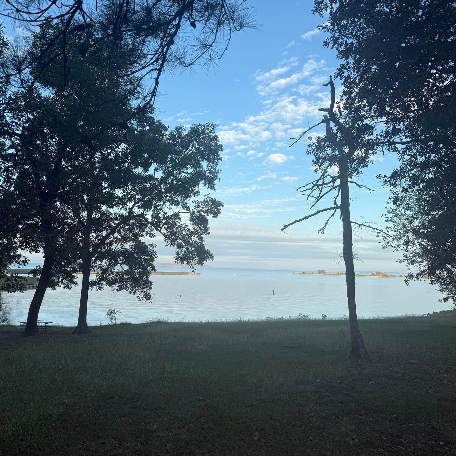 Lake Livingston State Park Campground | Livingston, Texas