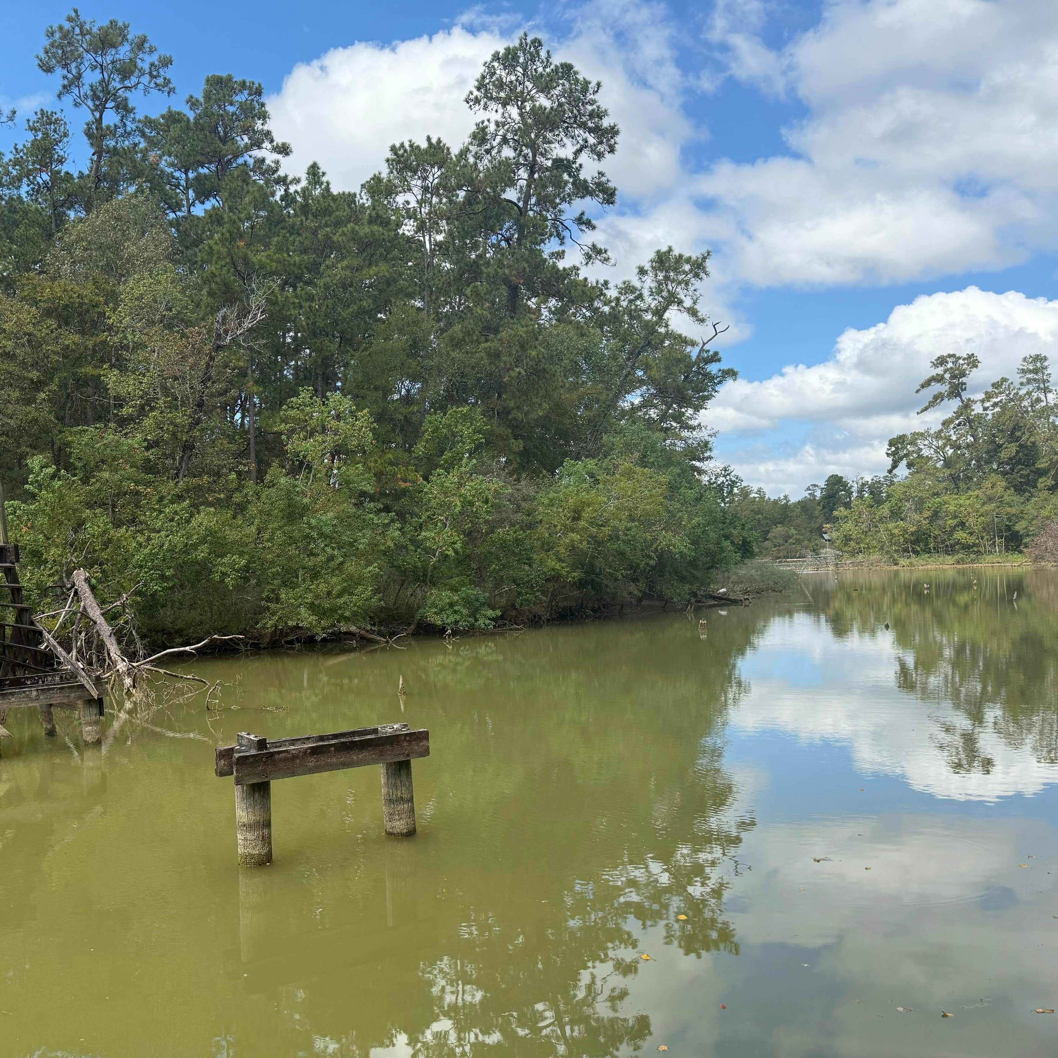 Lake Livingston State Park Campground | Livingston, Texas