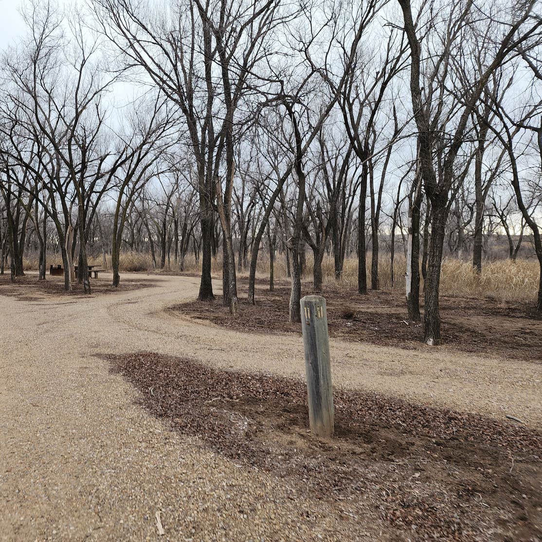 Lake McClellan Campground | Alanreed, TX