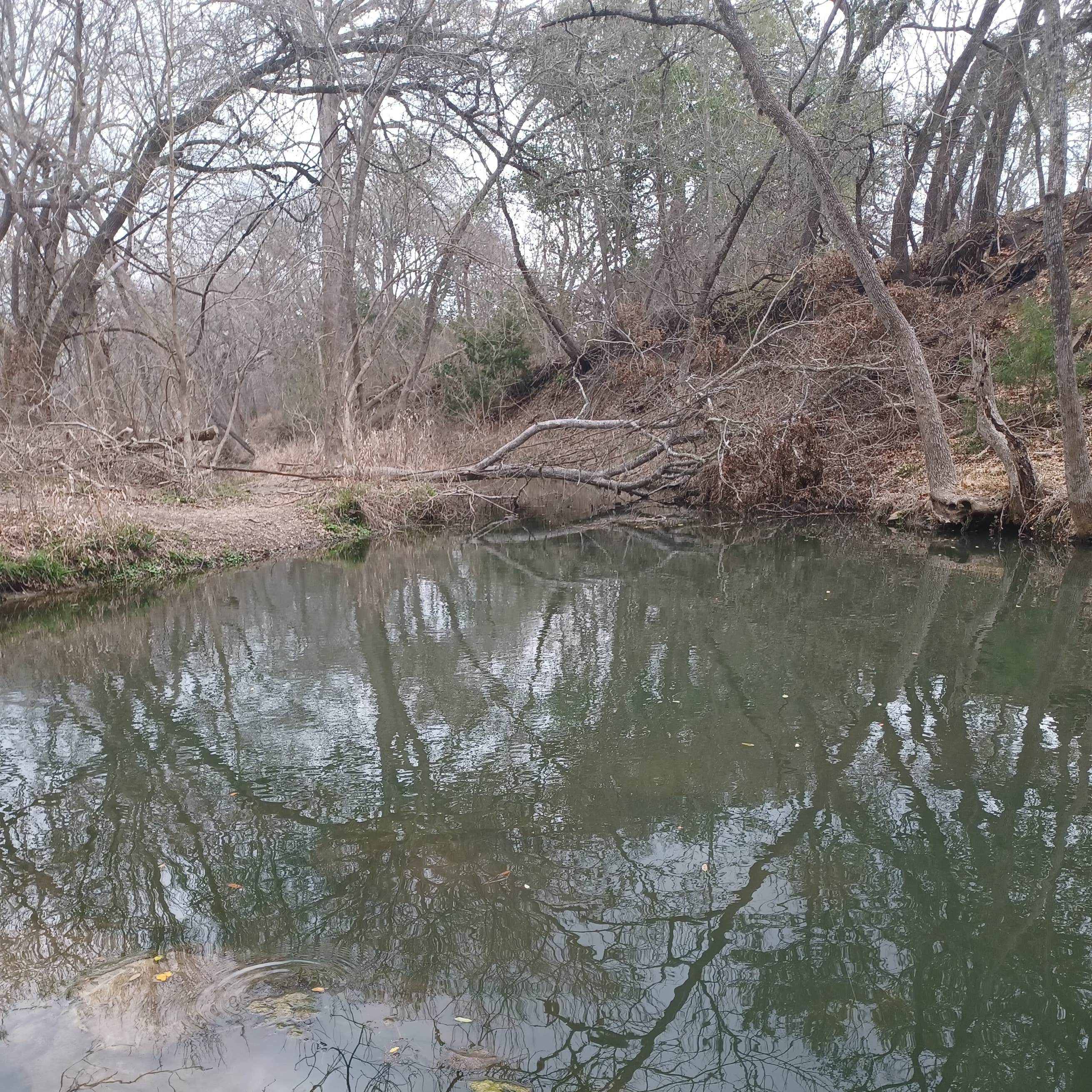Lockhart State Park Campground | Lockhart, Texas