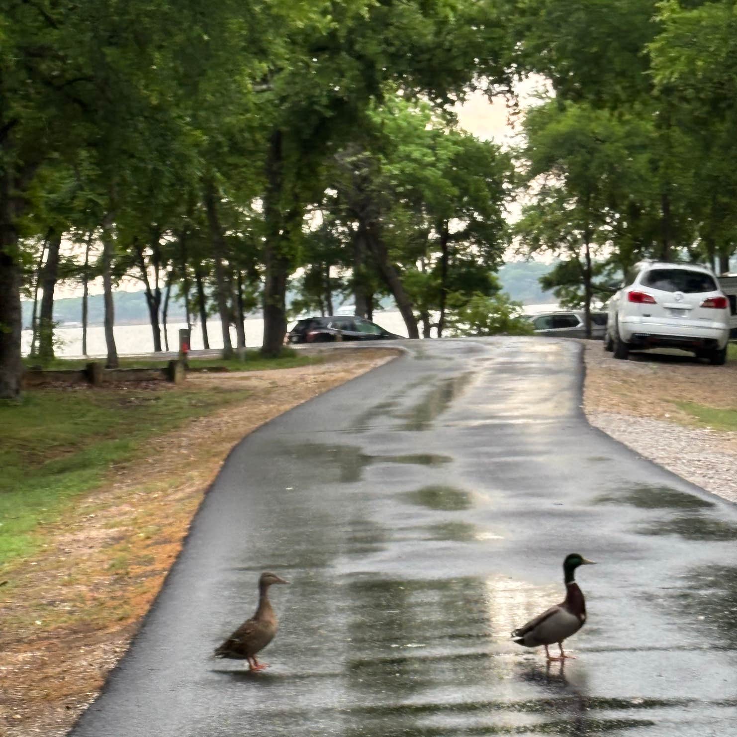 Pilot Knoll Park Campground | Corinth, Texas