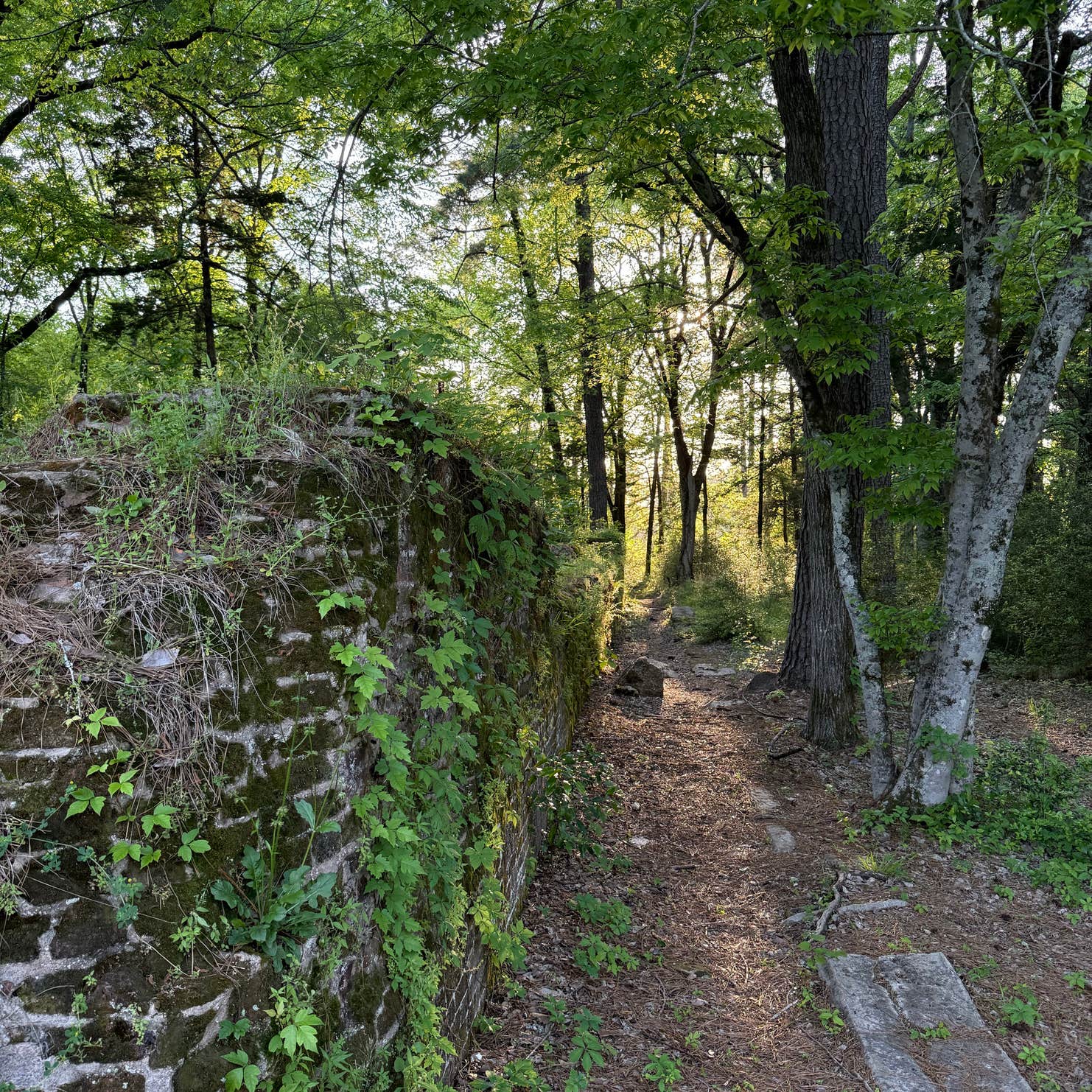 Ratcliff Lake Recreation Area Camping | Kennard, Texas