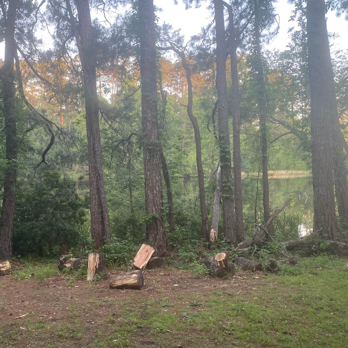 Ratcliff Lake Recreation Area Camping | Kennard, Texas