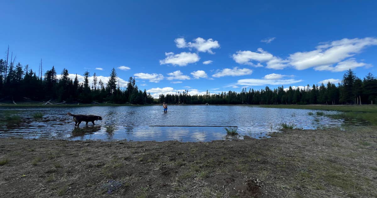 The Point - Elk Lake Camping | Deschutes National Forest, Oregon