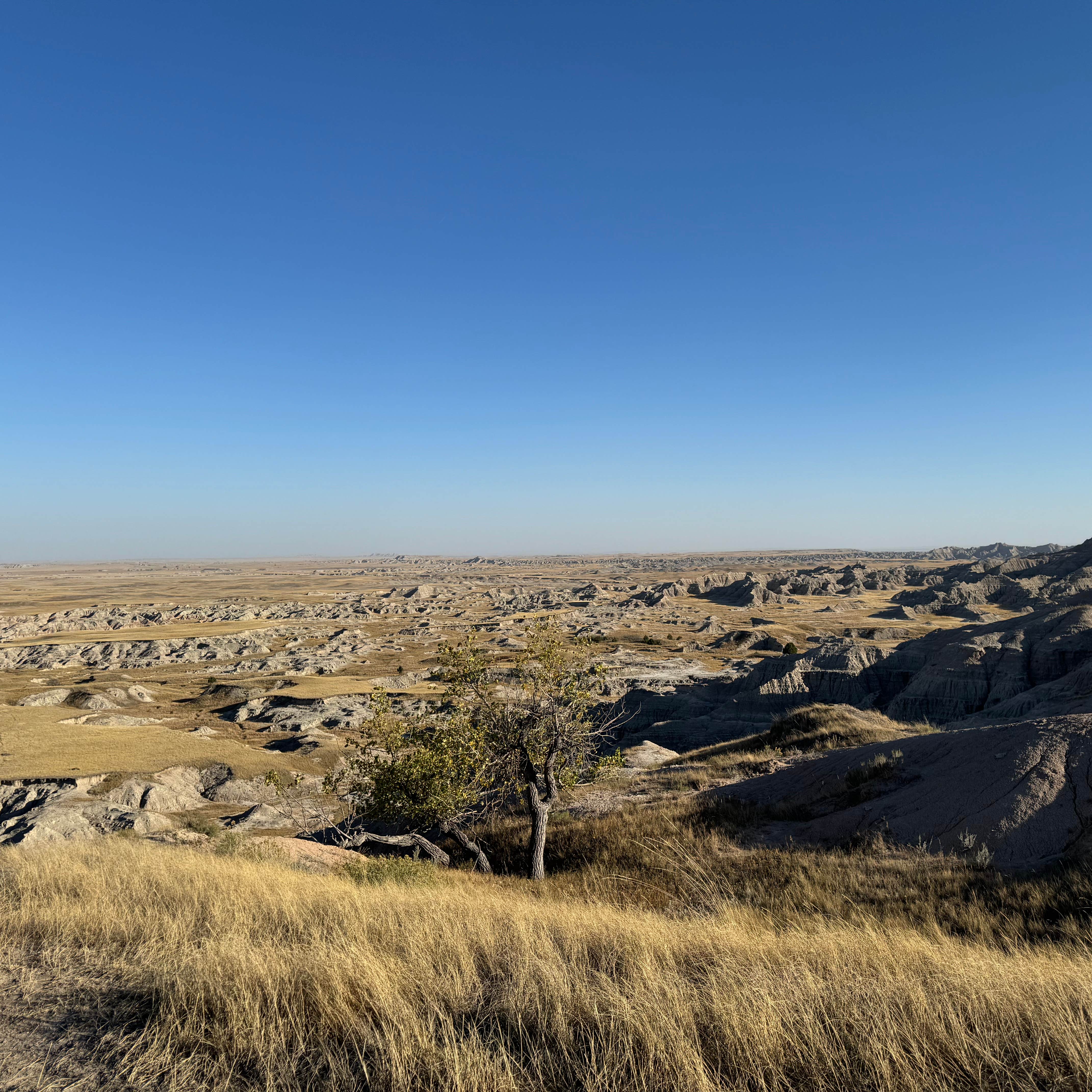 The Wall Boondocking Dispersed Camping | Wall, South Dakota