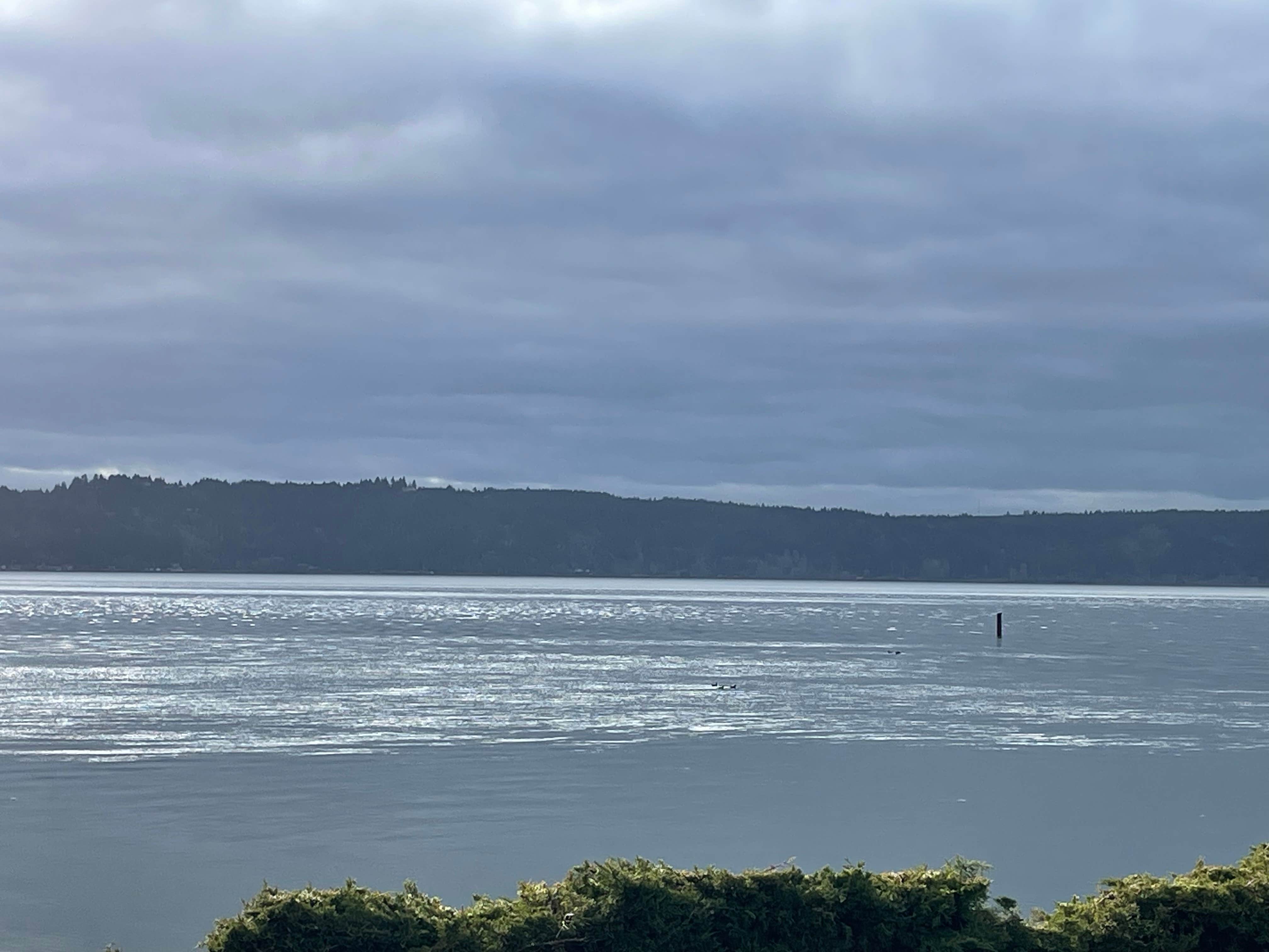 The Waterfront at Potlatch Camping | Potlatch, WA