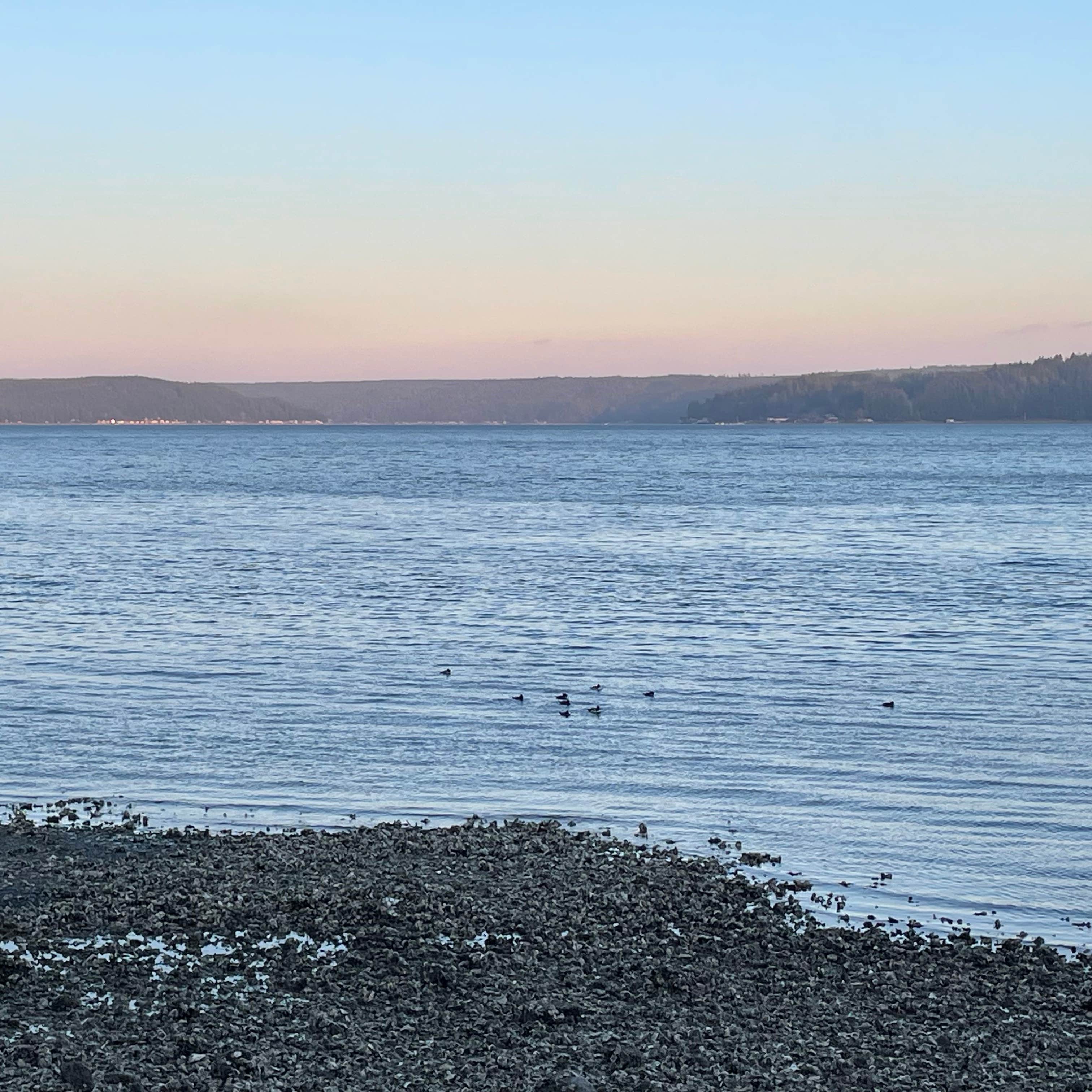 The Waterfront at Potlatch Camping | Potlatch, WA