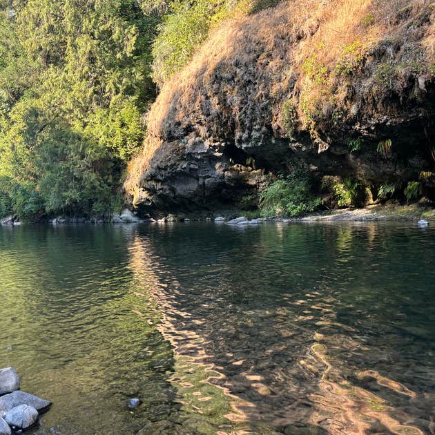 BLM Molalla River Recreation Area Camping | Molalla, Oregon