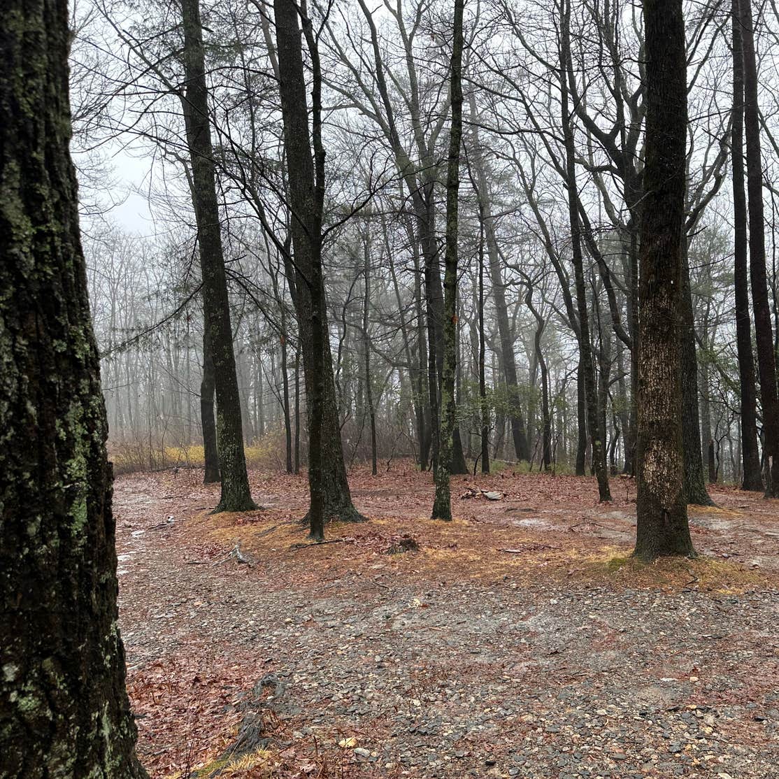 Three Forks Campground | Suches, Georgia