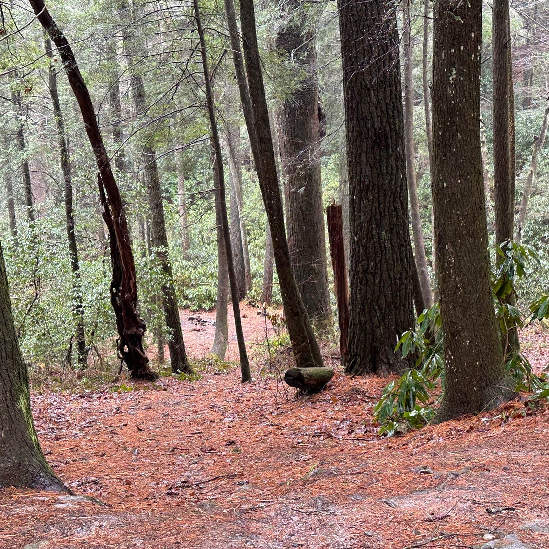 Three Forks Campground | Suches, Georgia