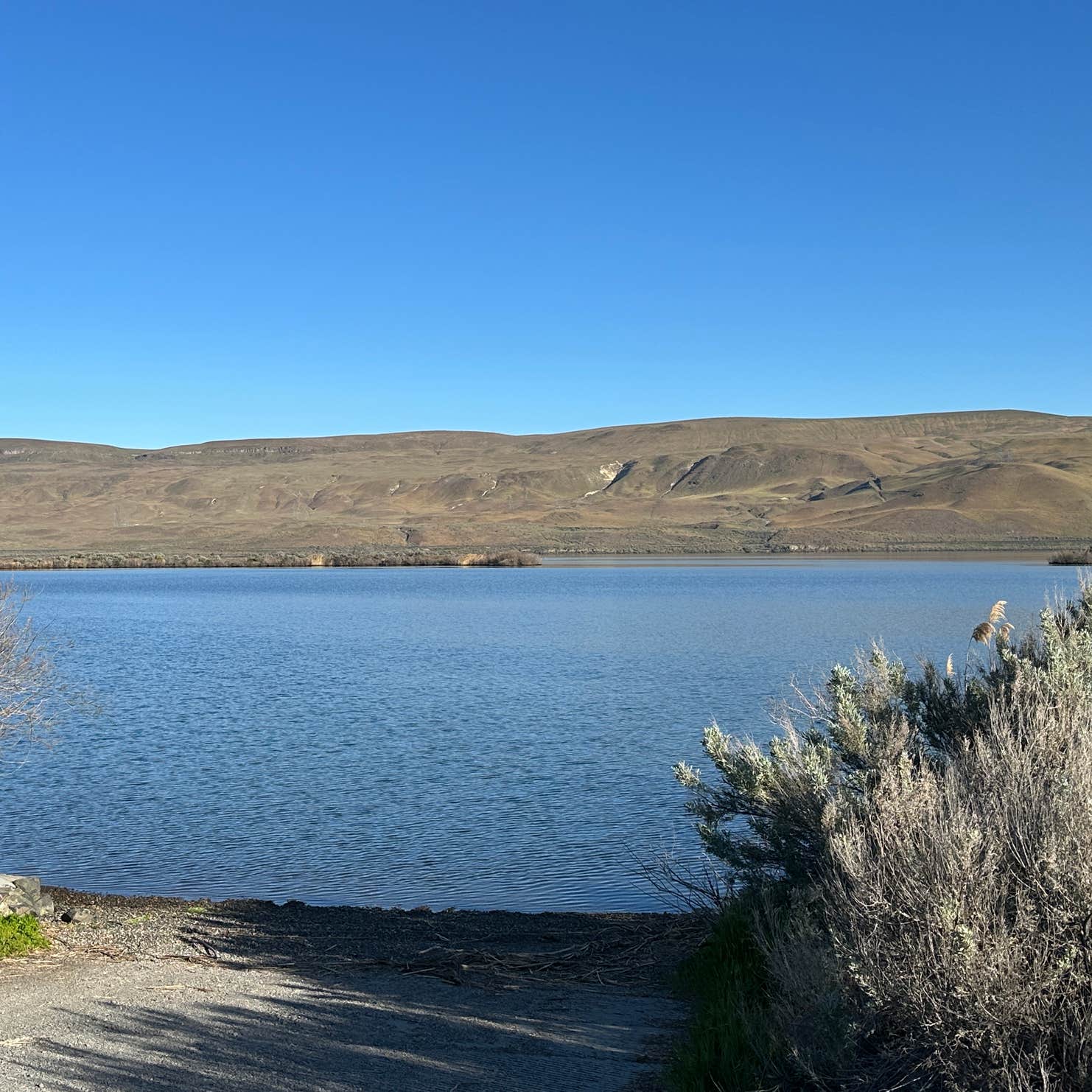 Three Mile Canyon Park Camping | Boardman, Oregon