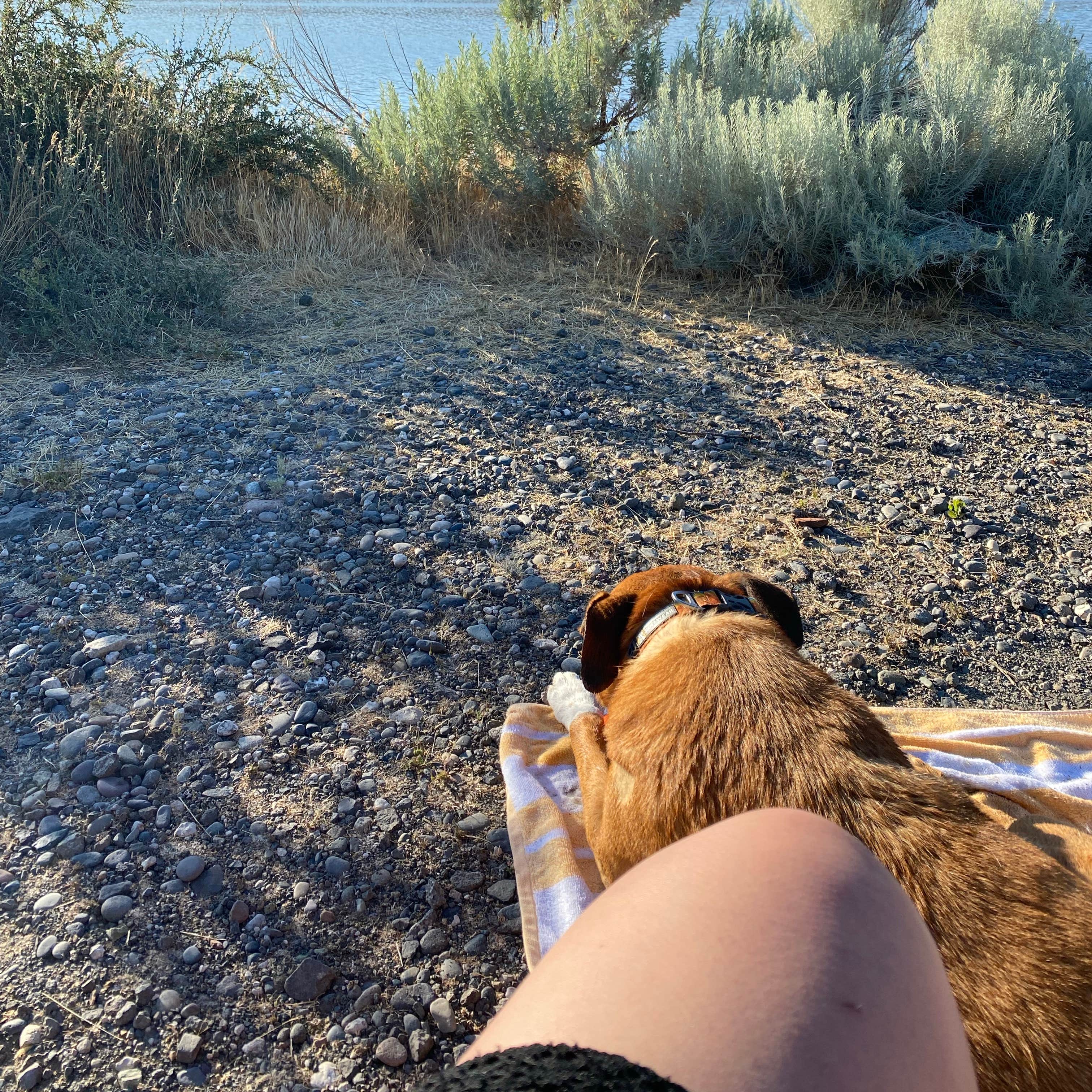 Three Mile Canyon Park Camping | Boardman, Oregon