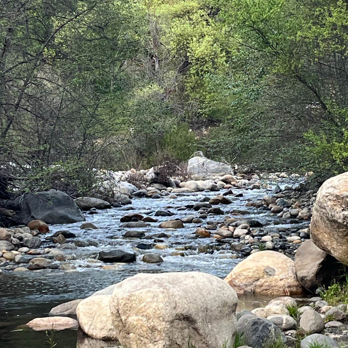 Three Rivers Hideaway Camping | Three Rivers, California