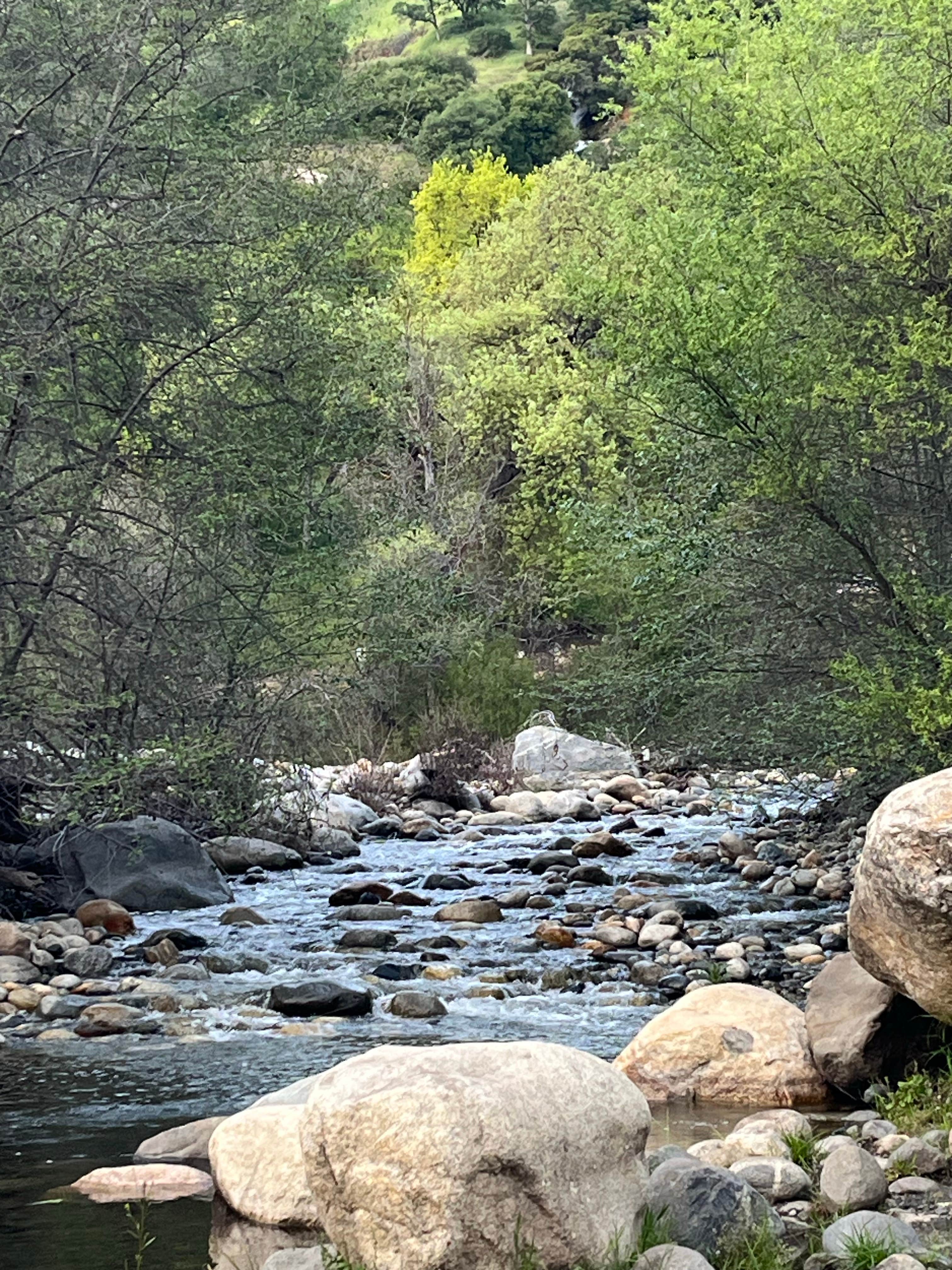 Three Rivers Hideaway Camping | Three Rivers, California