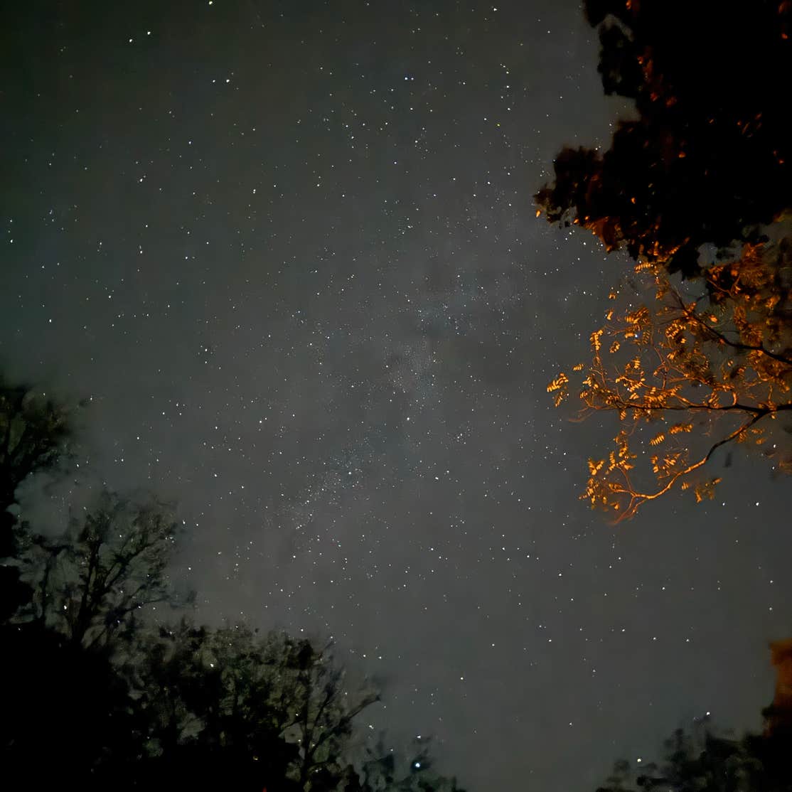 Three Springs Campground | Sadieville, Kentucky