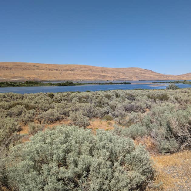 Threemile Canyon Park Camping | Boardman, Oregon