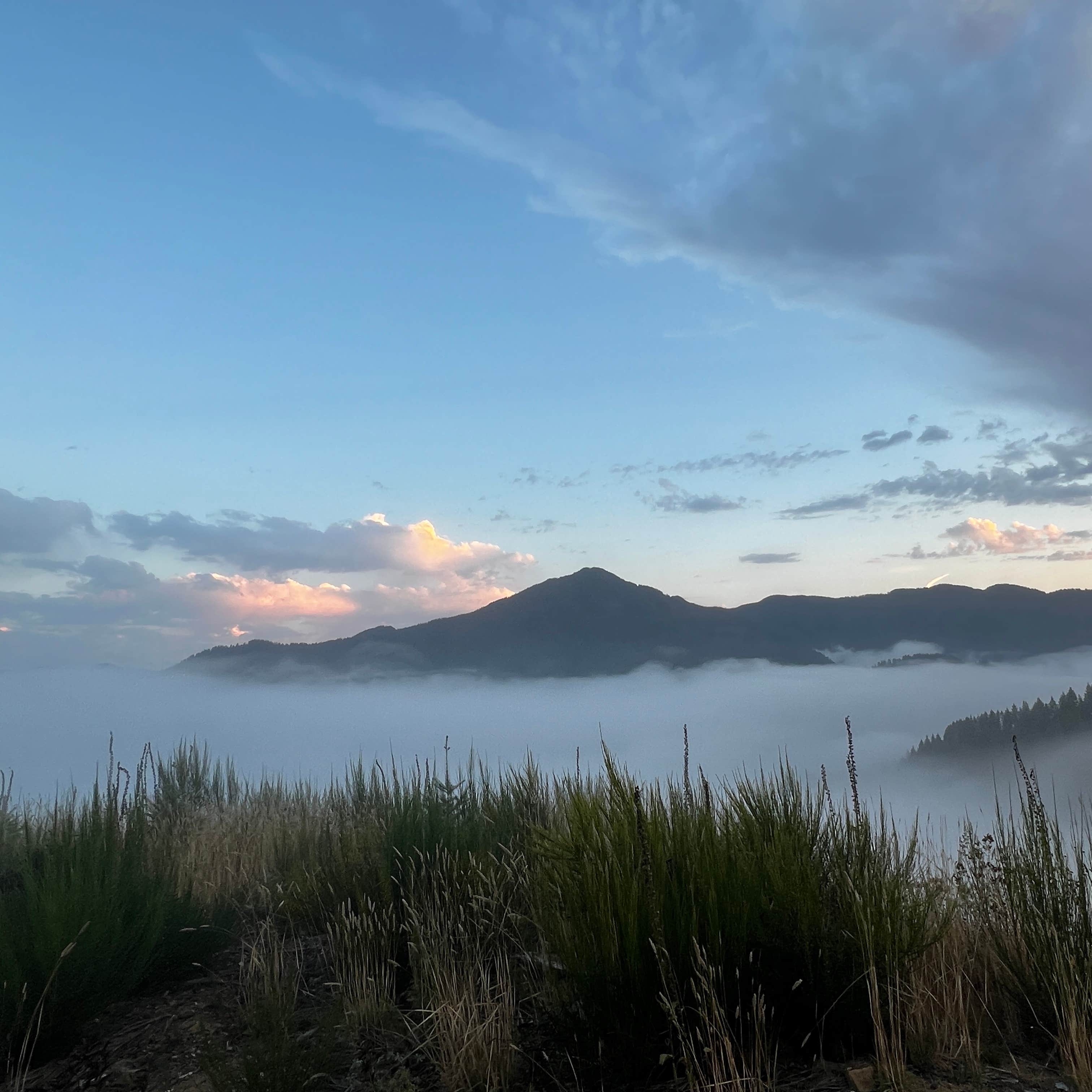 Tillamook State Forest Dispersed Camping | Tillamook State Forest, Oregon