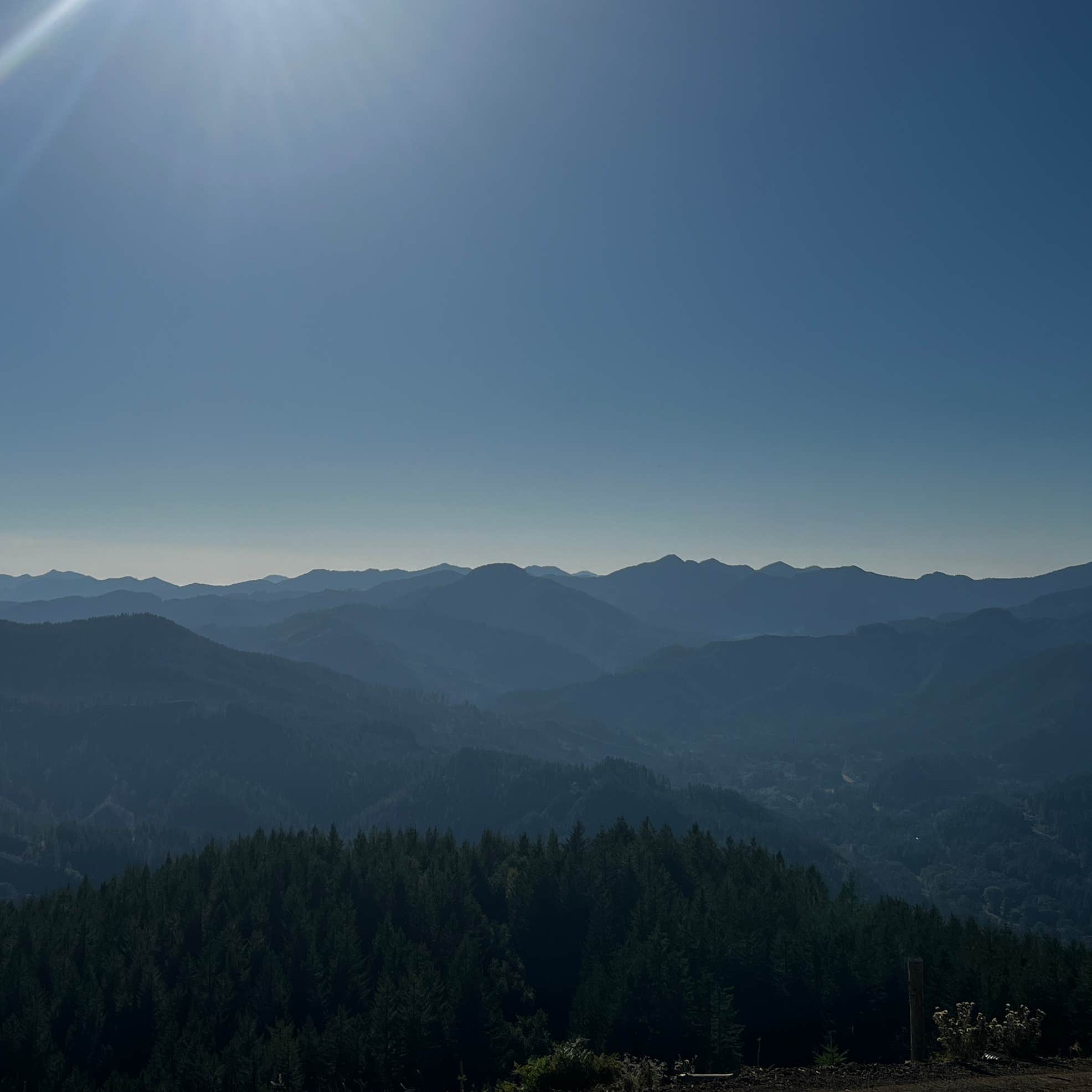 Tillamook State Forest Dispersed Camping | Tillamook State Forest, OR
