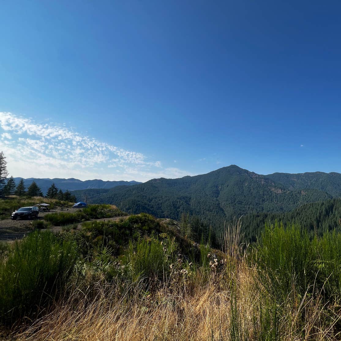 Tillamook State Forest Dispersed Camping | Tillamook State Forest, OR