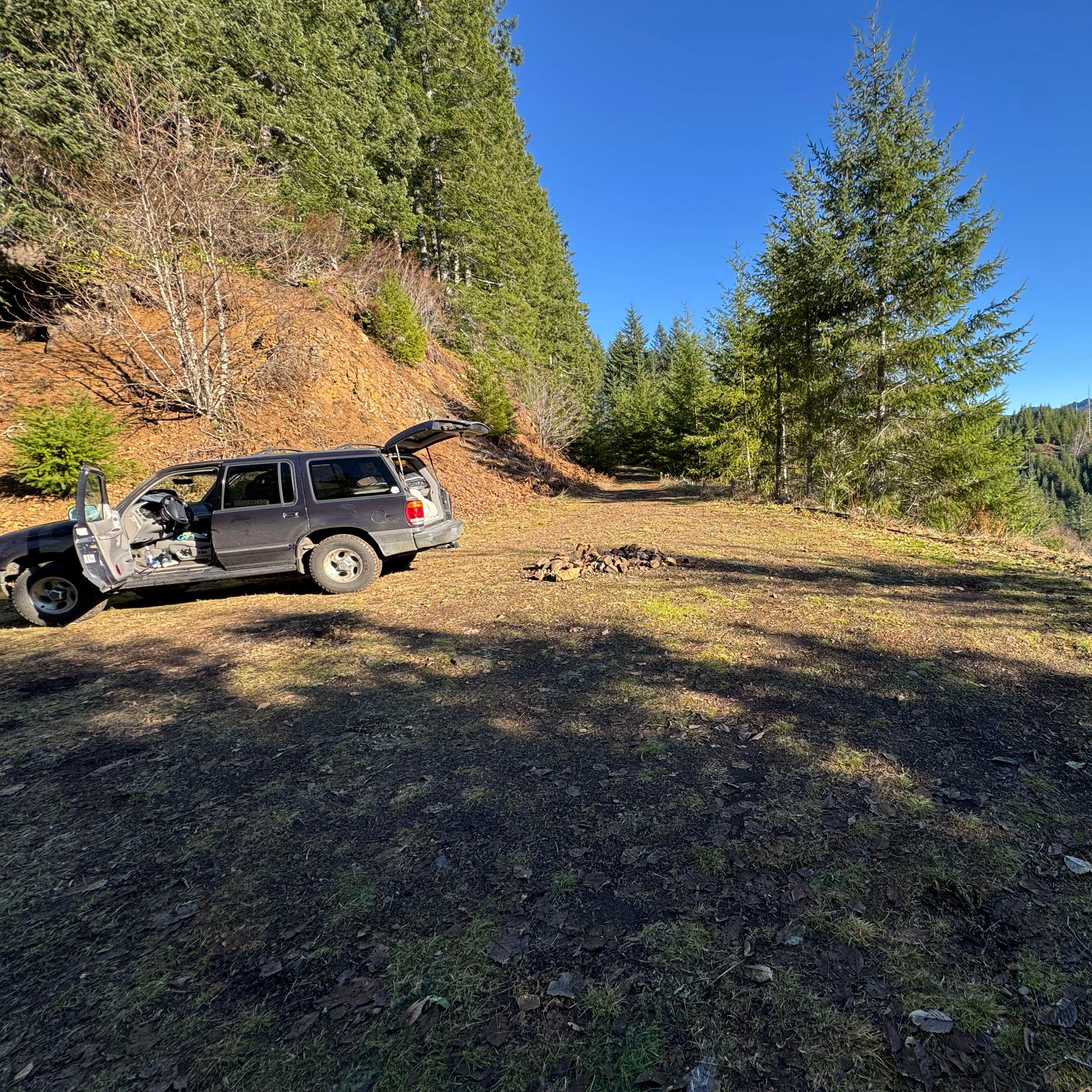 Tillamook State Forest Dispersed Camping Tillamook State Forest Oregon