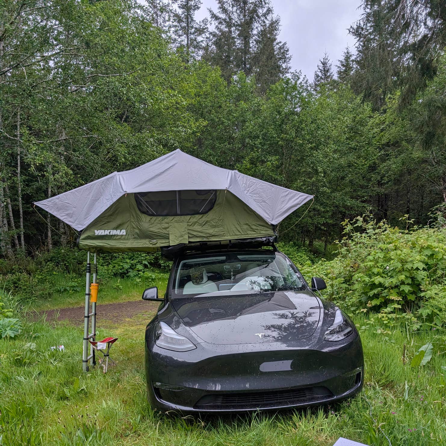 Tillamook State Forest Dispersed Camping Tillamook State Forest Oregon