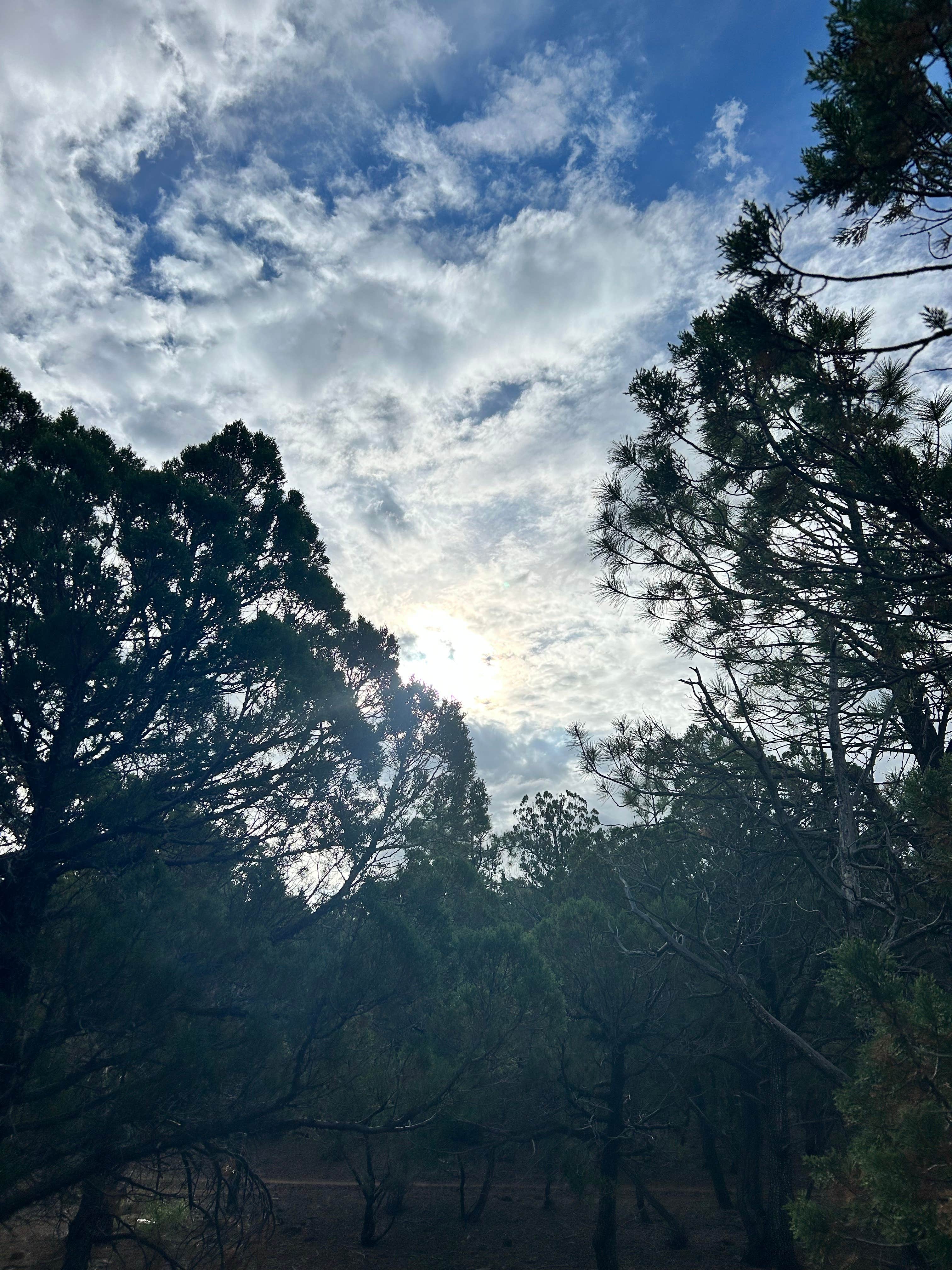 Timber Mesa Trailhead Camping | Lakeside, AZ