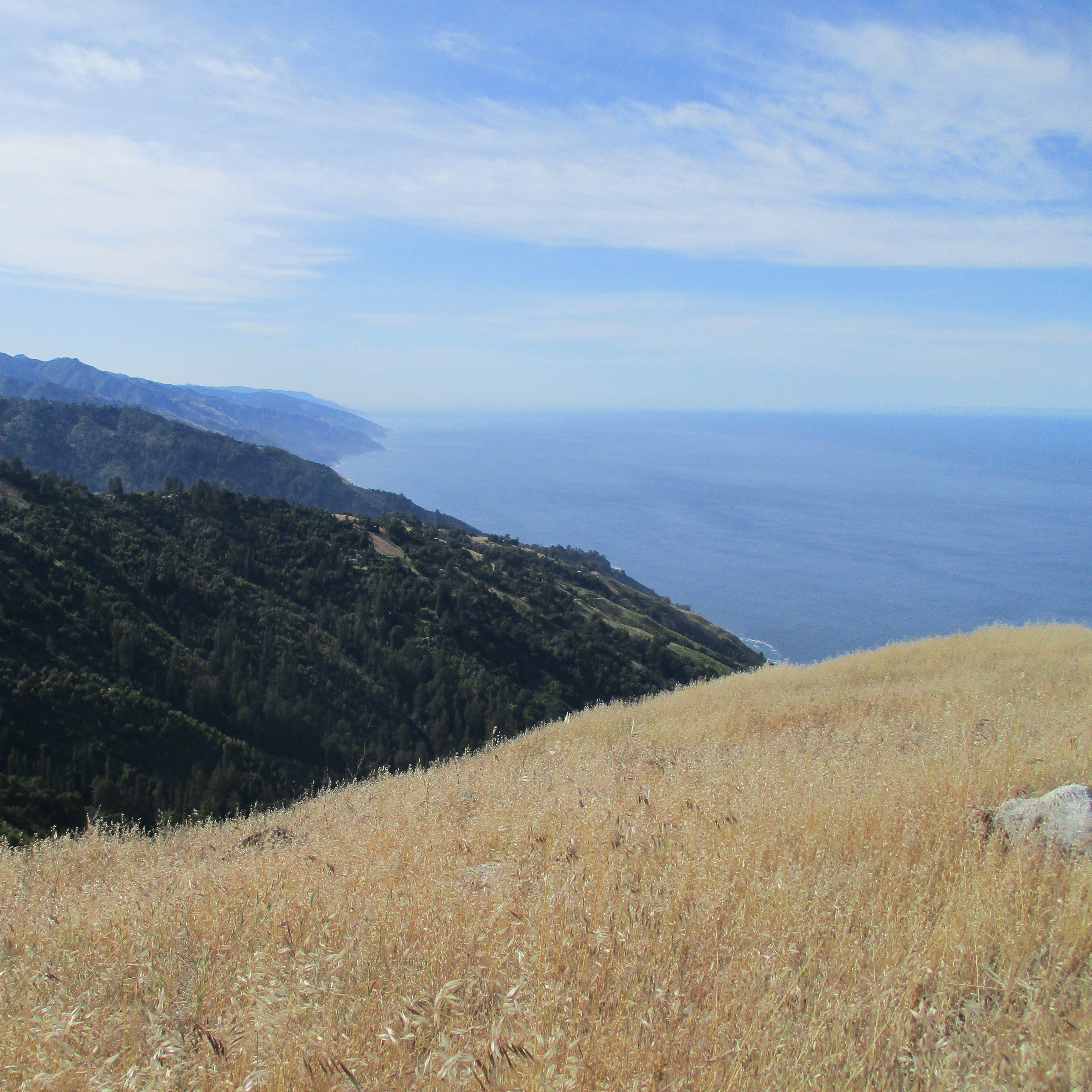 Timber Top Camp | Big Sur, California