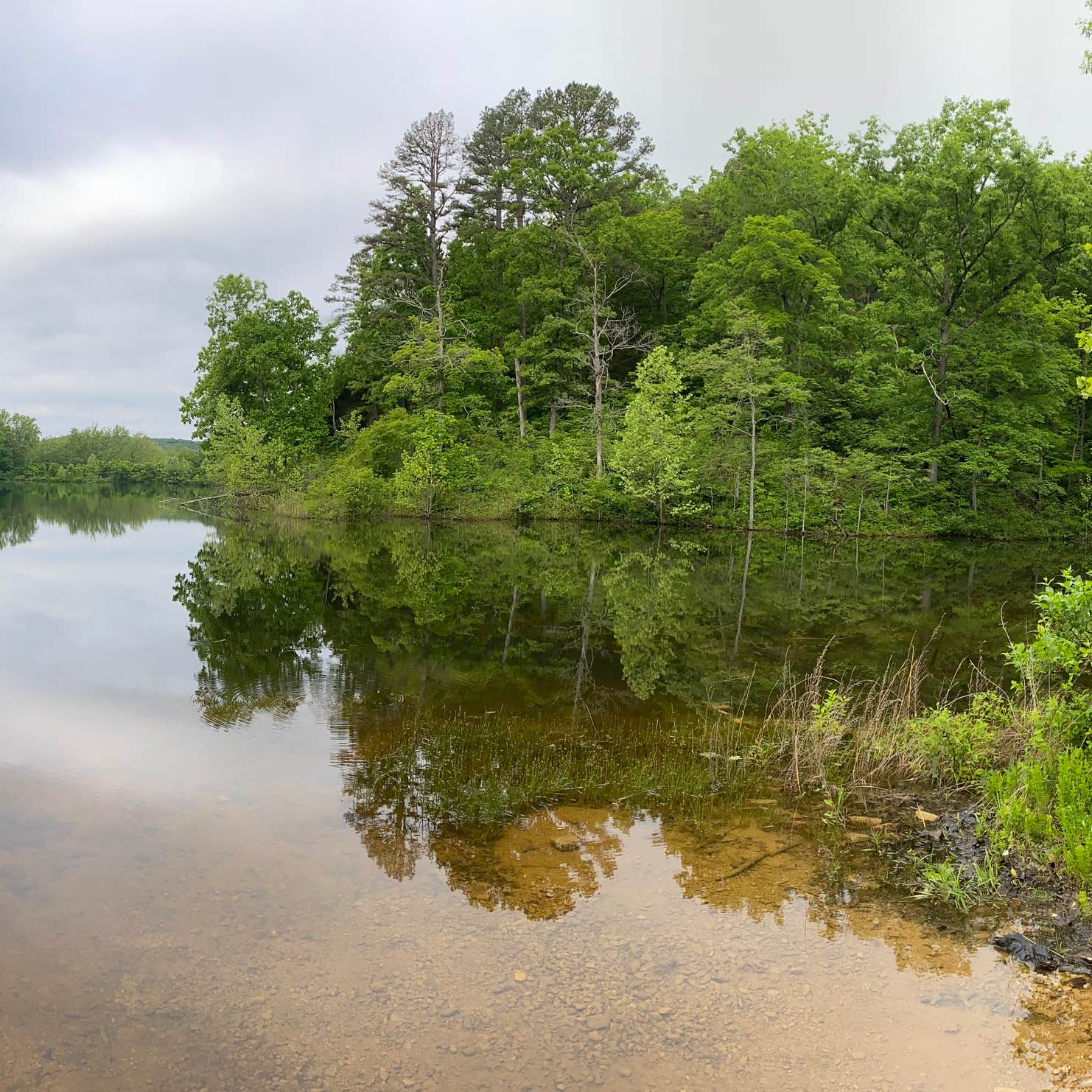 Timberline Lake Dispersed - Mark Twain National Forest Camping ...
