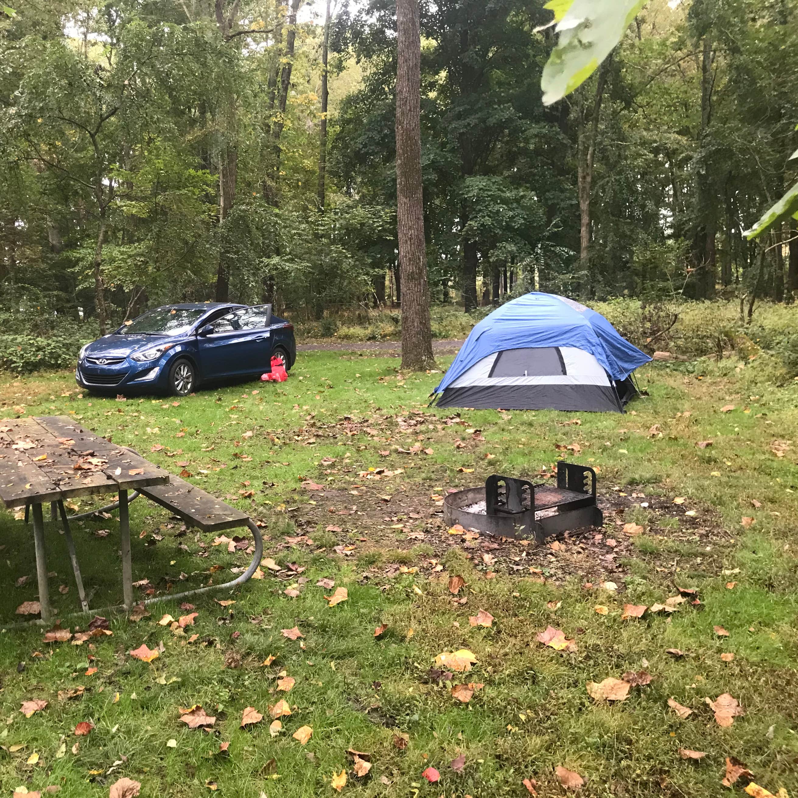 Tinicum Park Camping | Erwinna, Pennsylvania