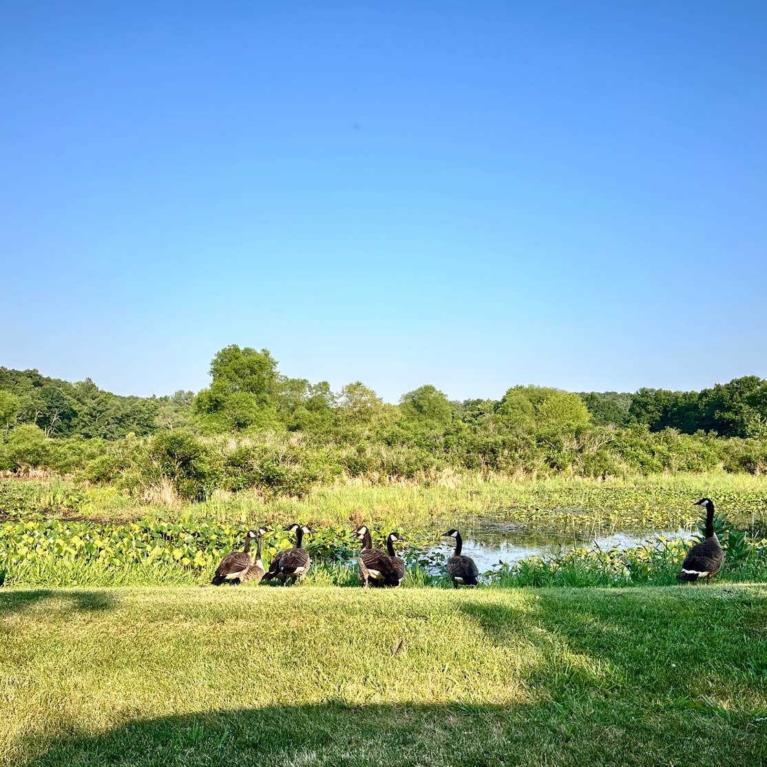 Tippecanoe River State Park Campground | Winamac, Indiana