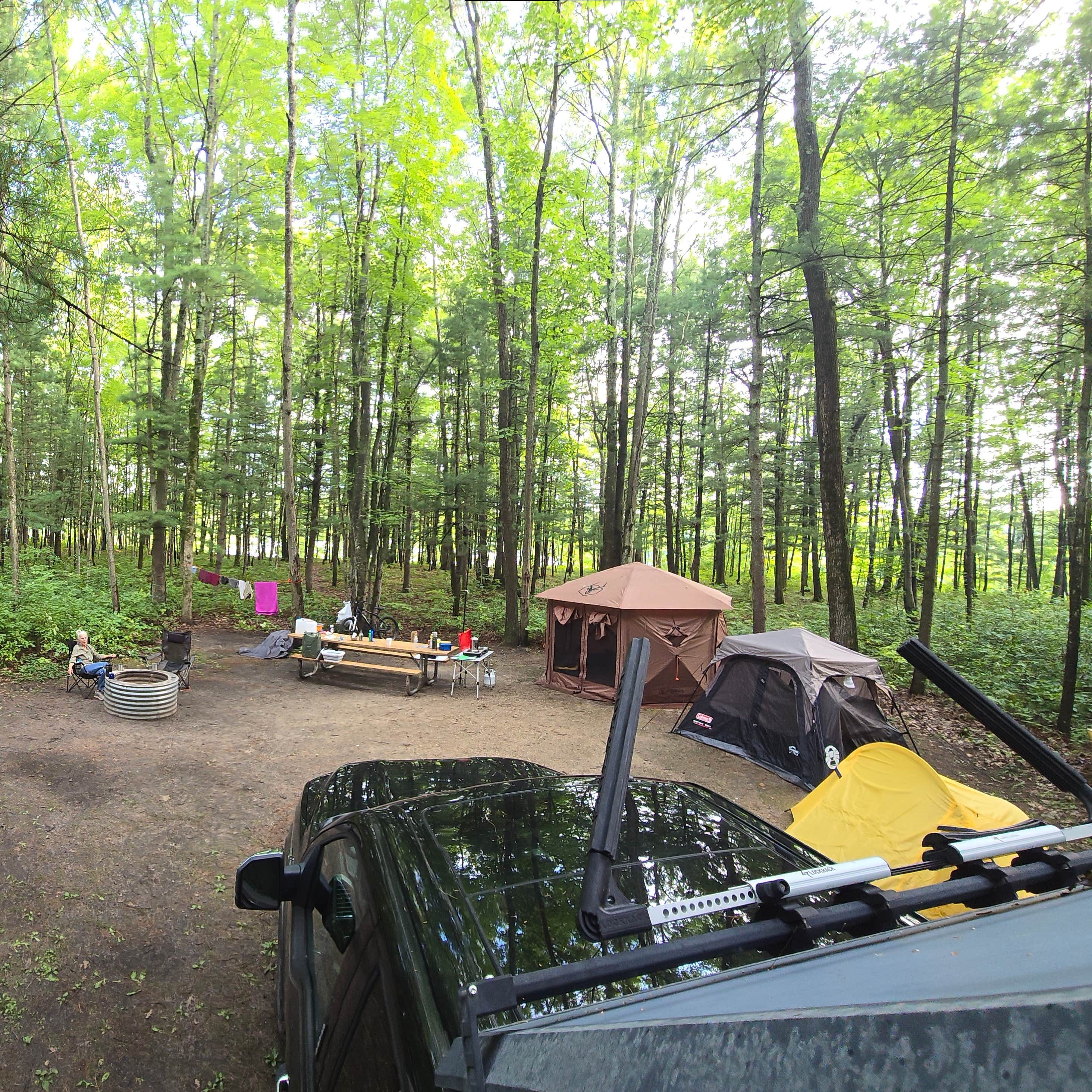 Tippy Dam State Recreation Area Camping | Wellston, Michigan