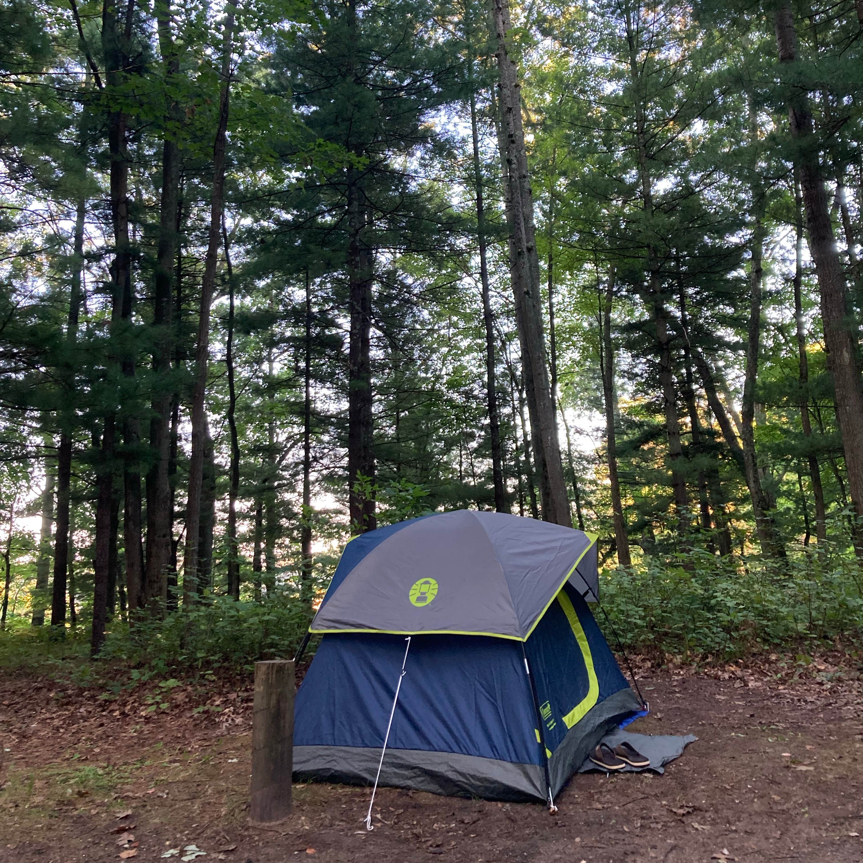 Tippy Dam State Recreation Area Camping | Brethren, MI