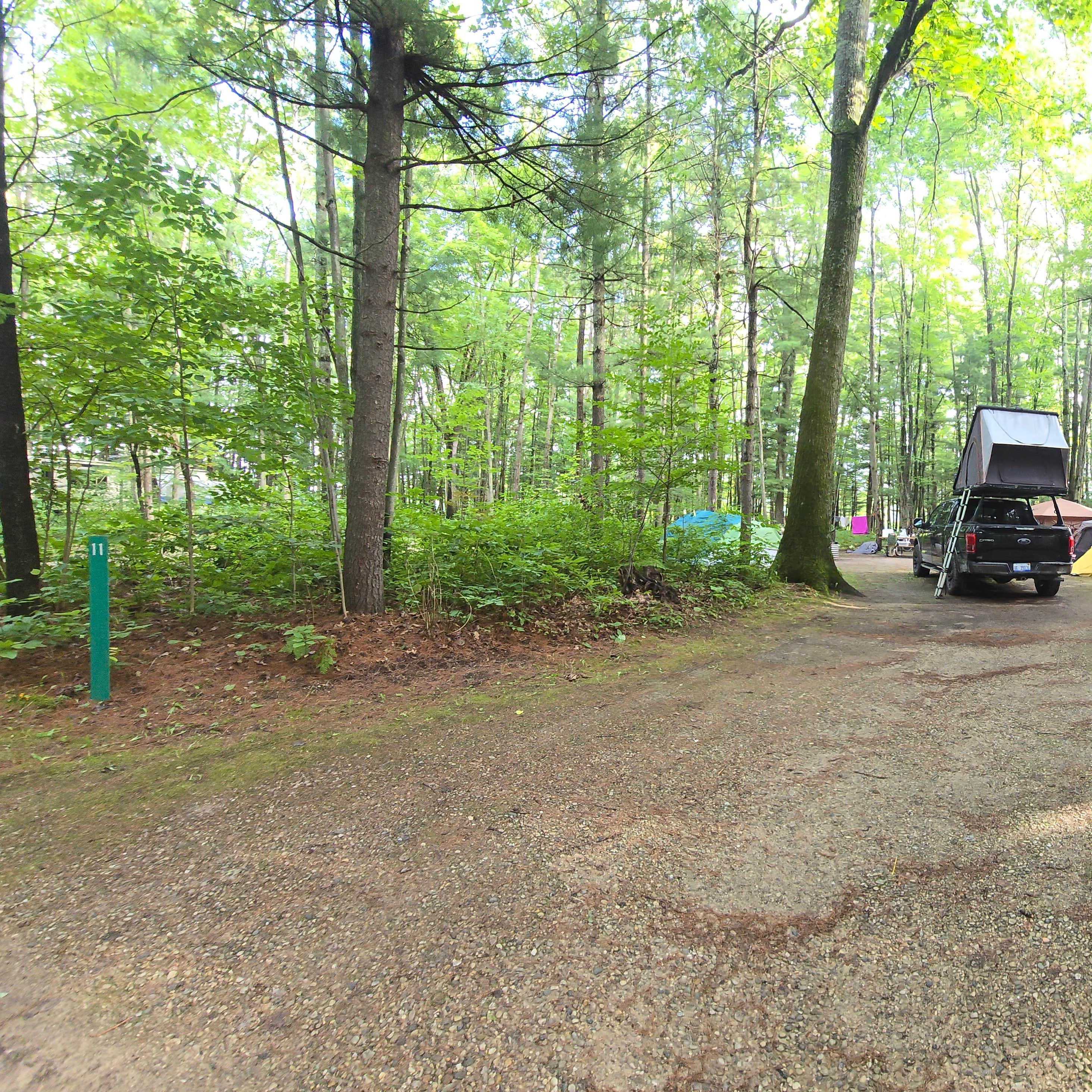 Tippy Dam State Recreation Area Camping | Wellston, Michigan