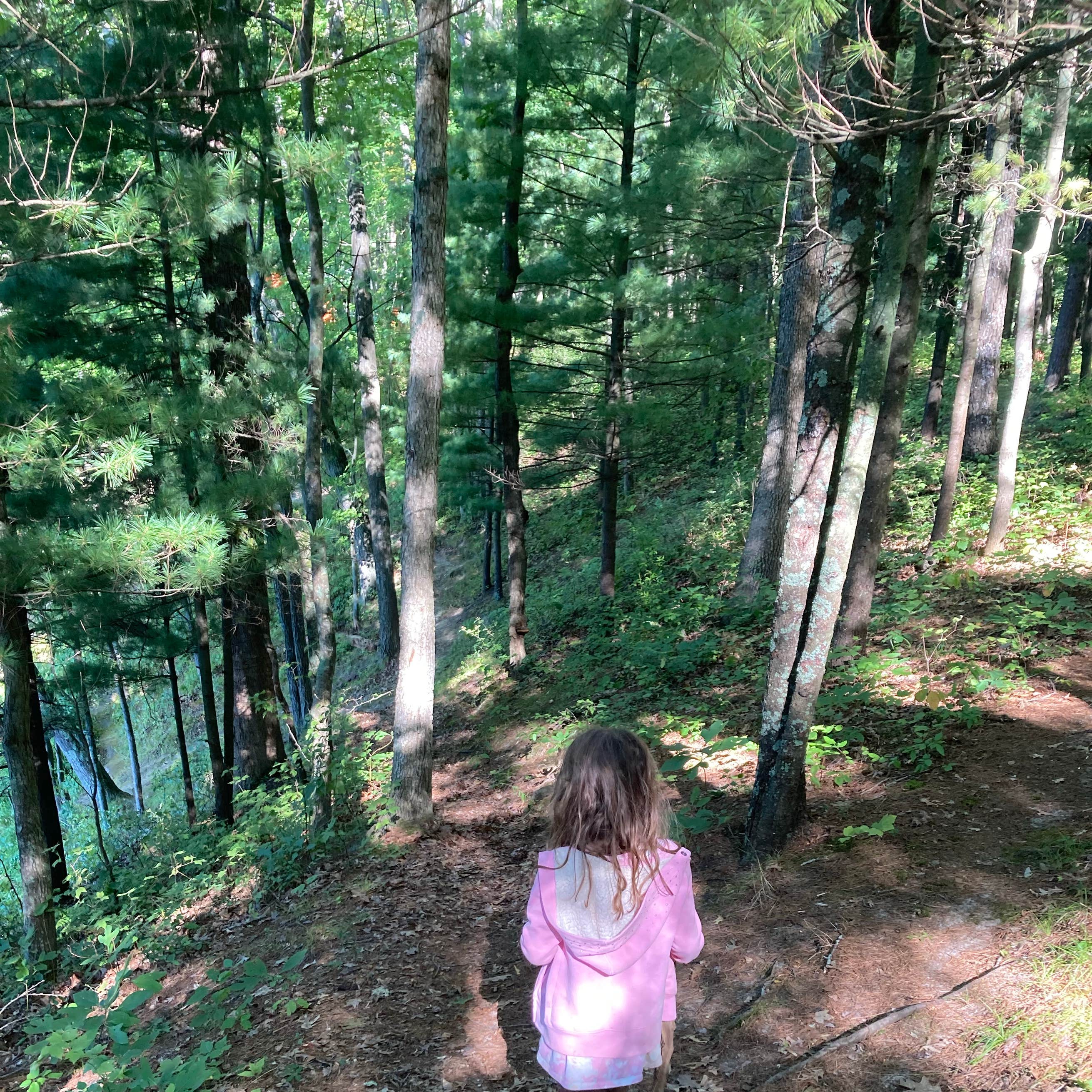 Tippy Dam State Recreation Area Camping | Wellston, Michigan