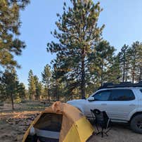Toms Best Spring Road - Dispersed Camping | Panguitch, UT