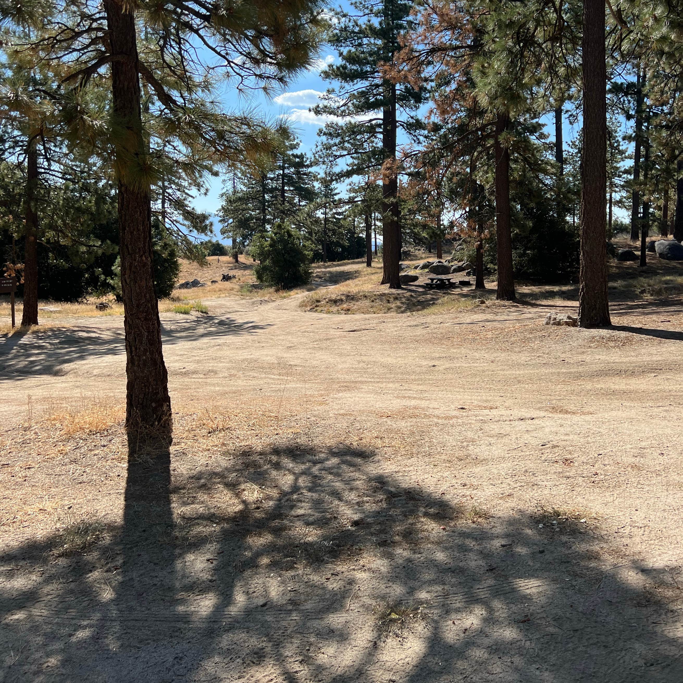 Tool Box Springs - Yellow Post Campground | Anza, California