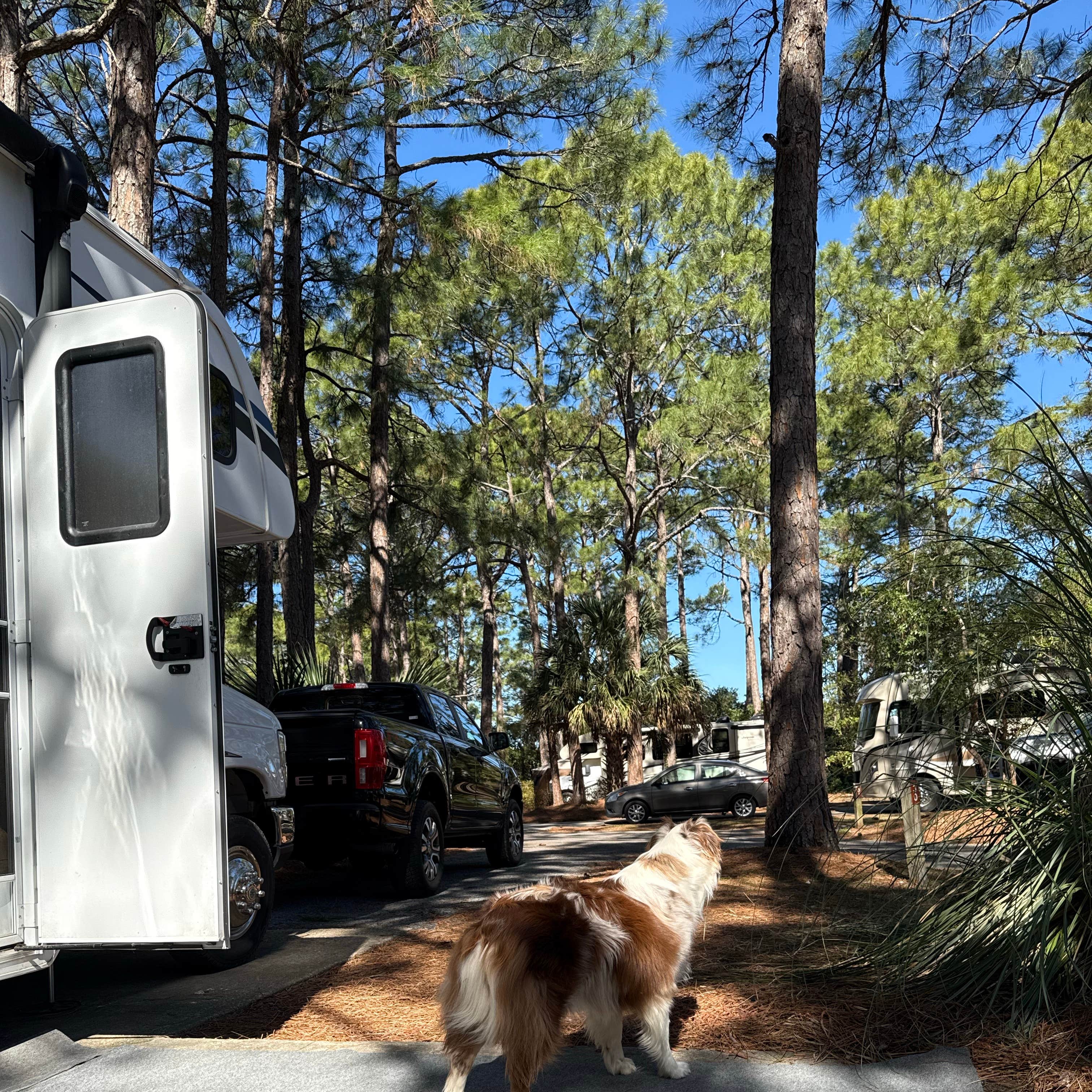 Topsail Hill Preserve State Park Campground | Santa Rosa Beach, Florida